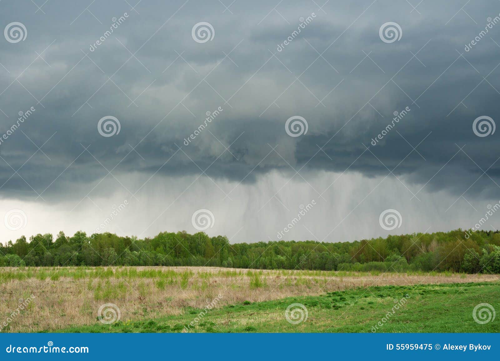 Thunderstorm over forest. stock image. Image of cloudscape - 55959475