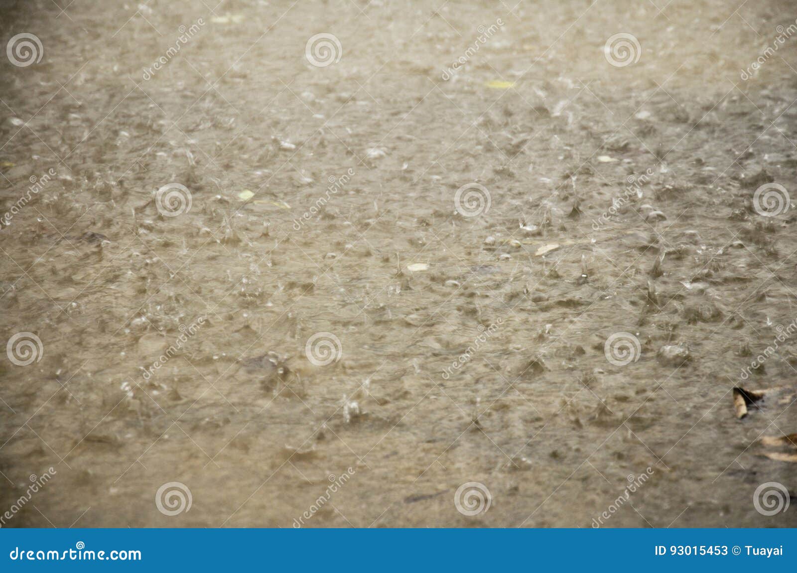 Thunderstorm and Raining Drop on Ground Stock Image - Image of ...