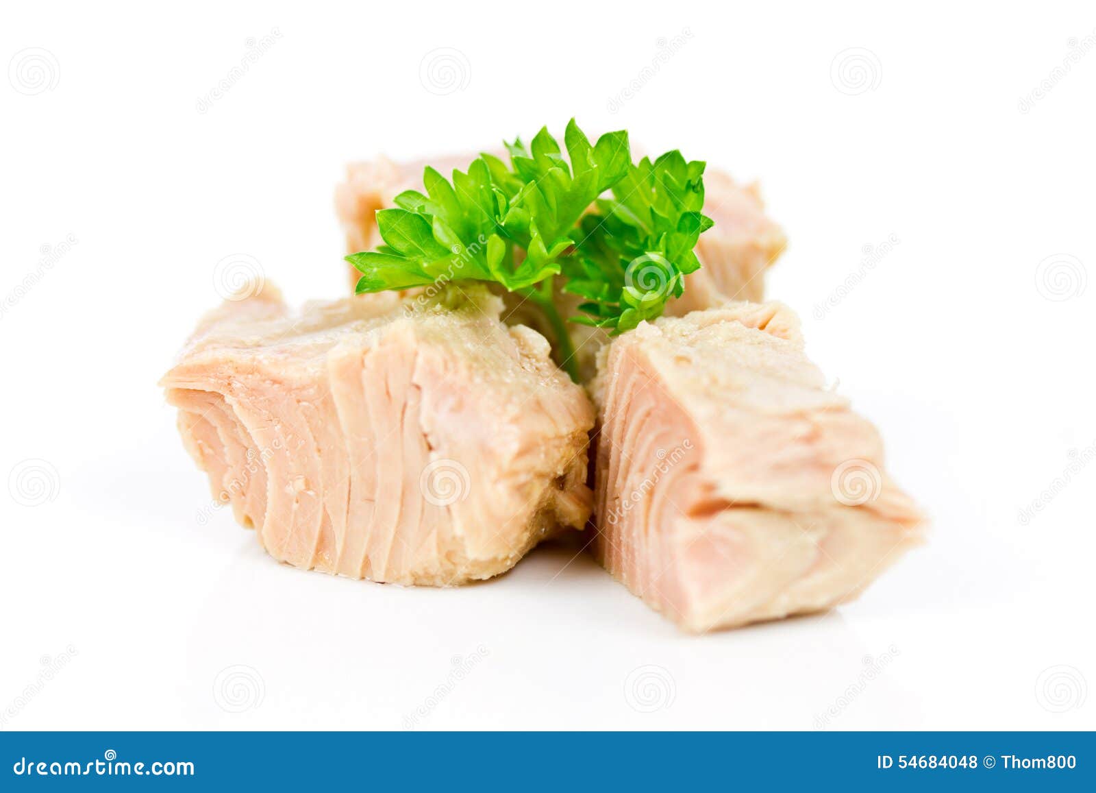 Thunfisch stockfoto. Bild von nahaufnahme, petersilie - 54684048