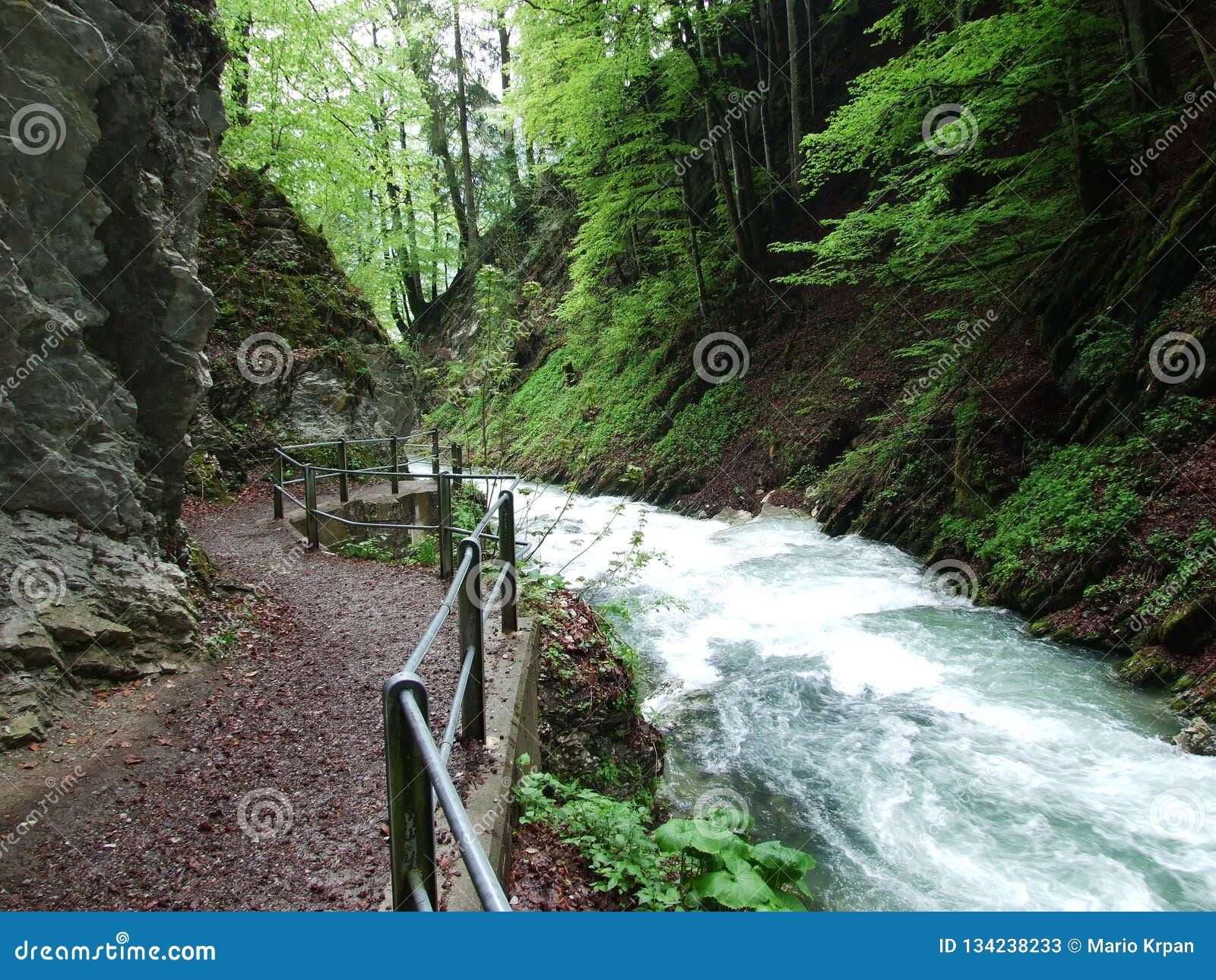 Thur-Fluss-Schlucht in Unterwasser Stockbild - Bild von natalia, hoch ...