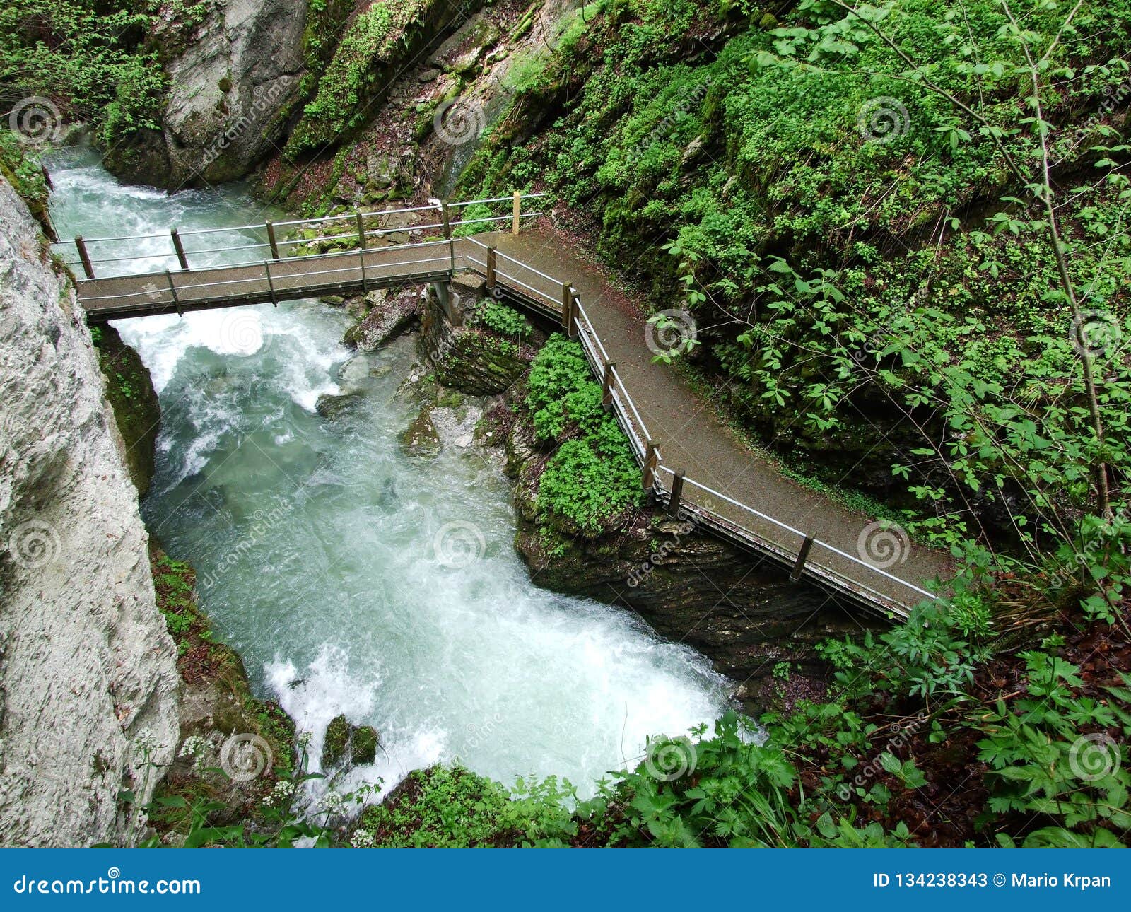 Thur-Fluss-Schlucht in Unterwasser Stockbild - Bild von frisch, wald ...