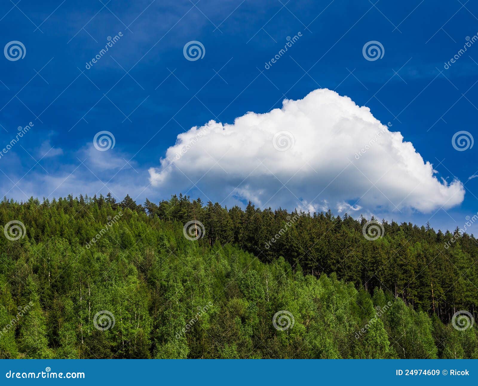 Thuringian Forest stock image. Image of thuringian, mountains - 24974609