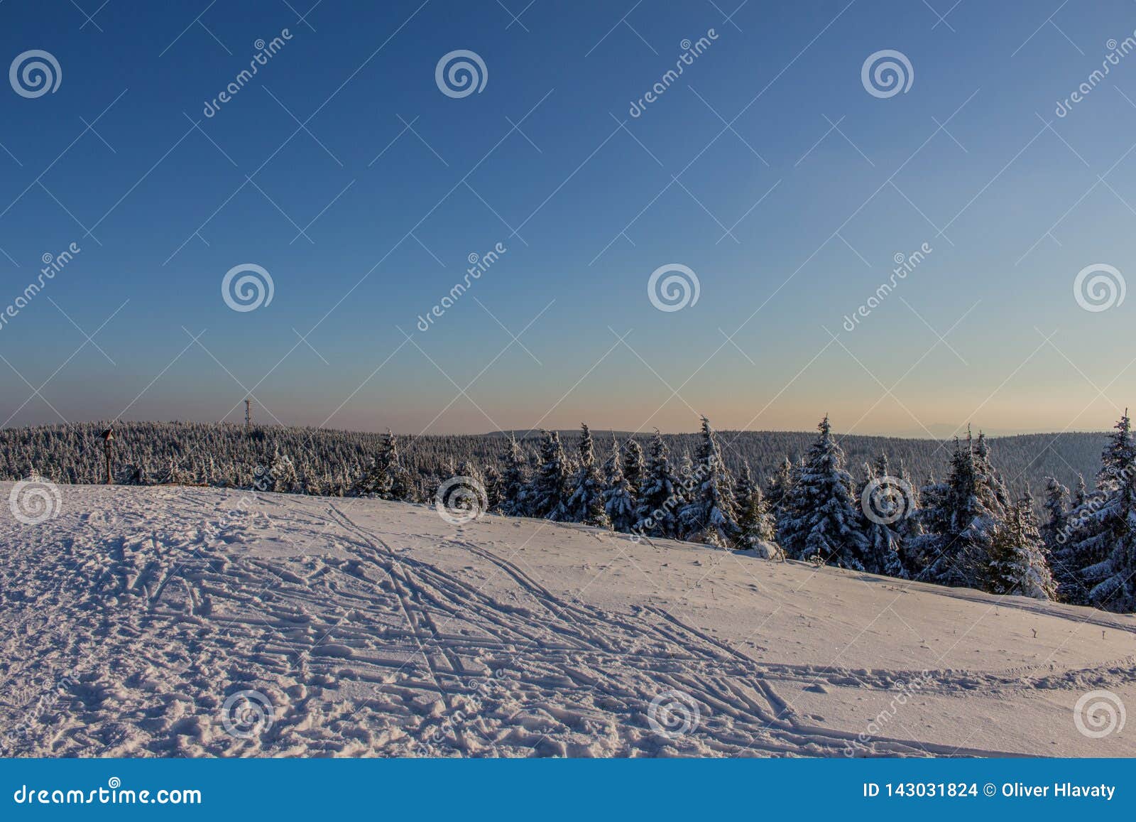On the Way through the Thuringian Forest in Its Full Glory Stock Photo ...