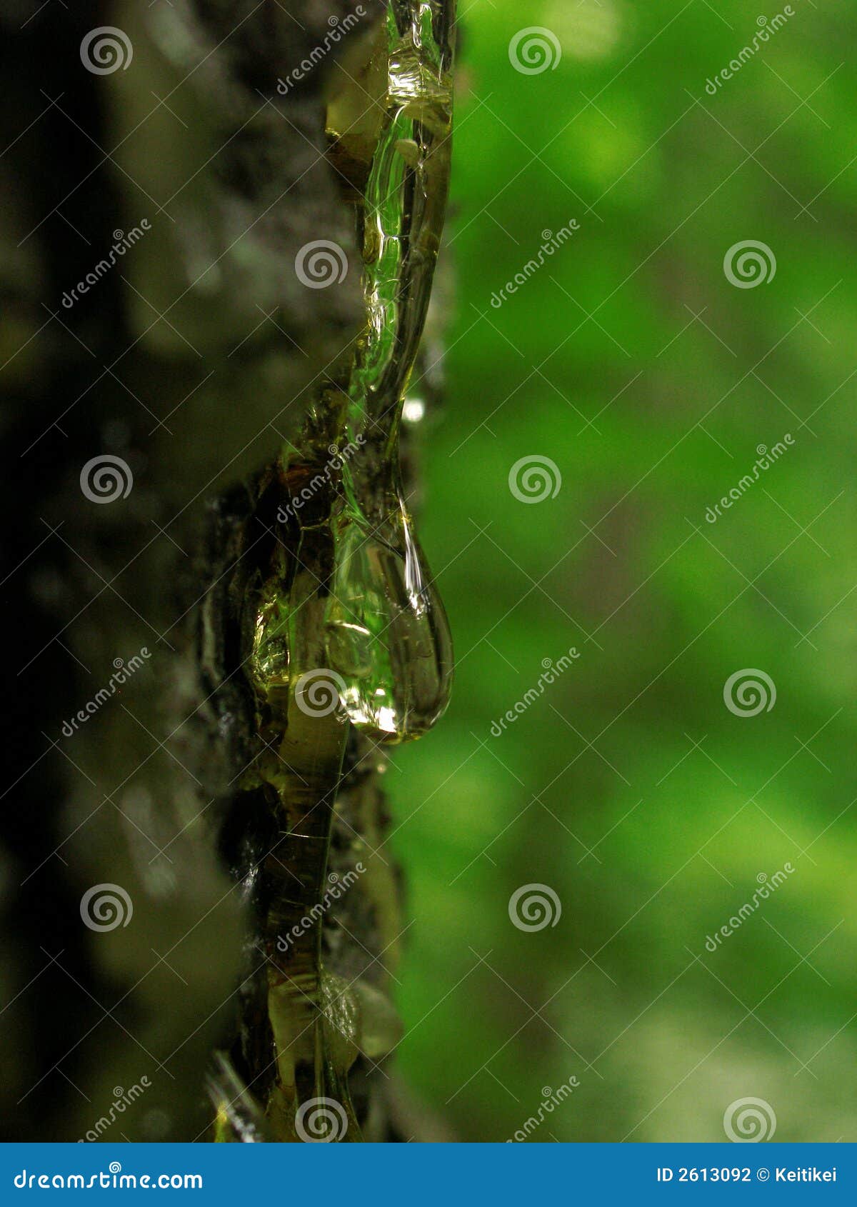 Thus Picture. Image: 2613092