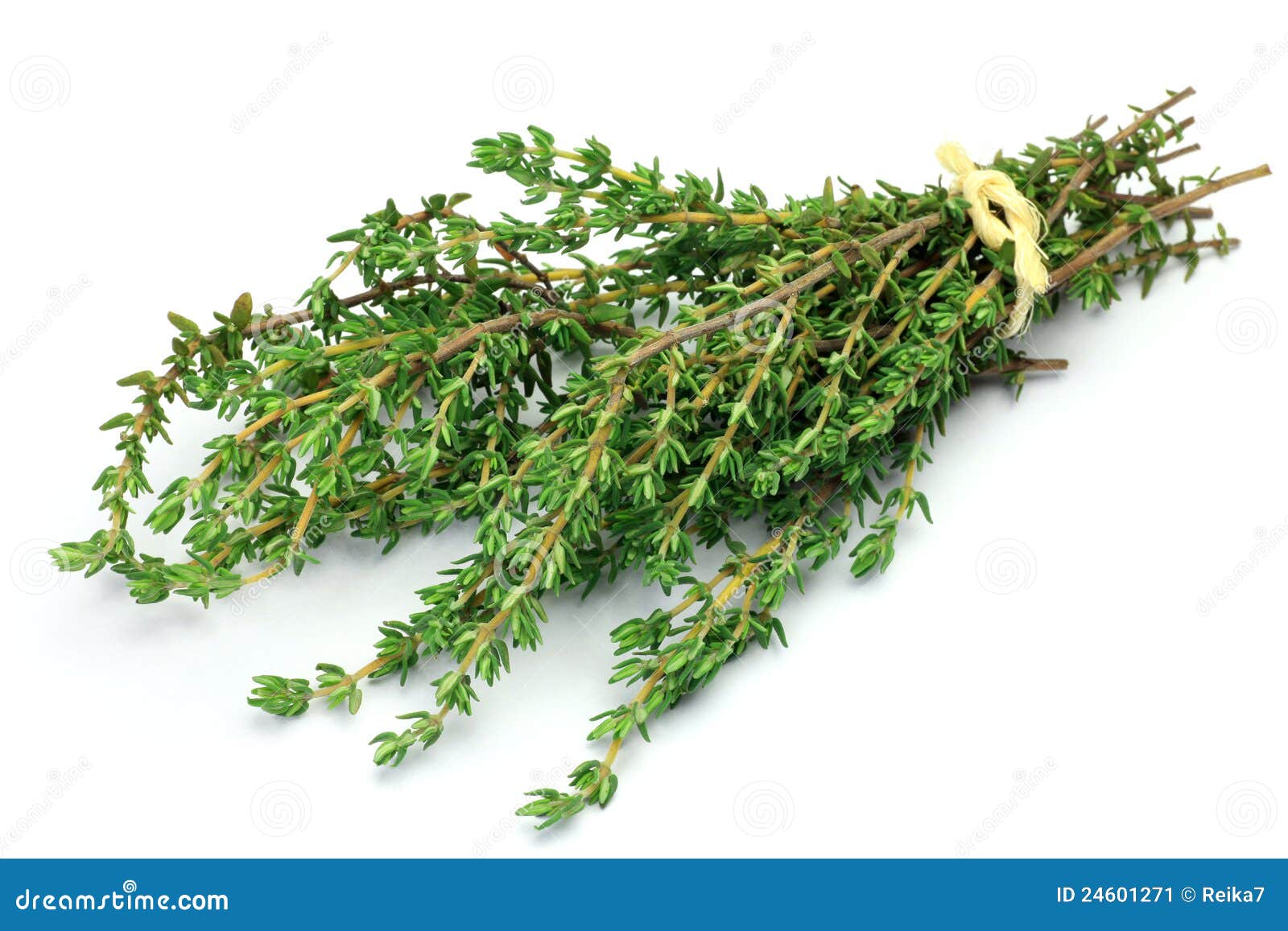 Thym image stock. Image du fond, herbe, nourriture, thym - 24601271