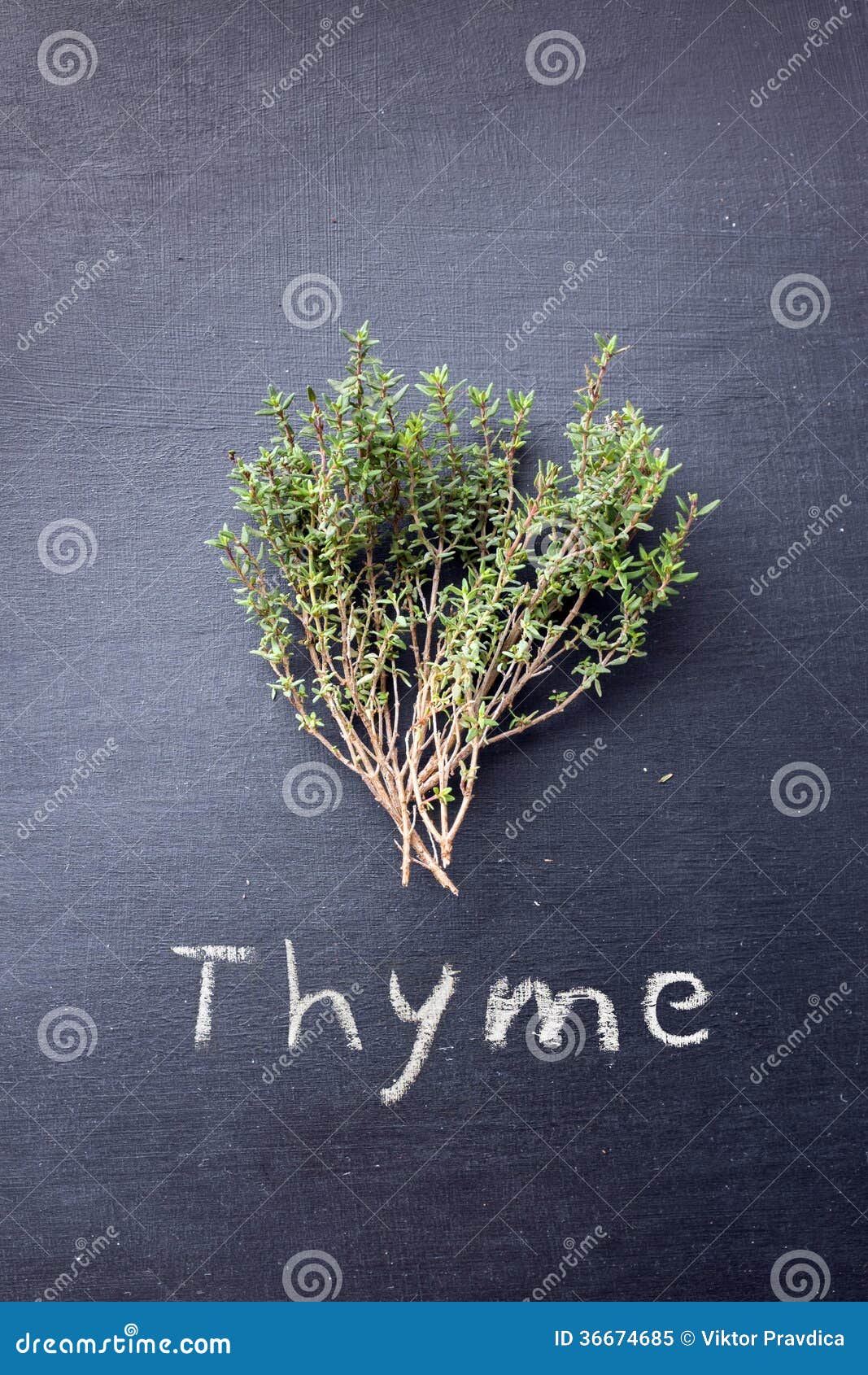 Thyme stock image. Image of aromatic, blackboard, culinary - 36674685