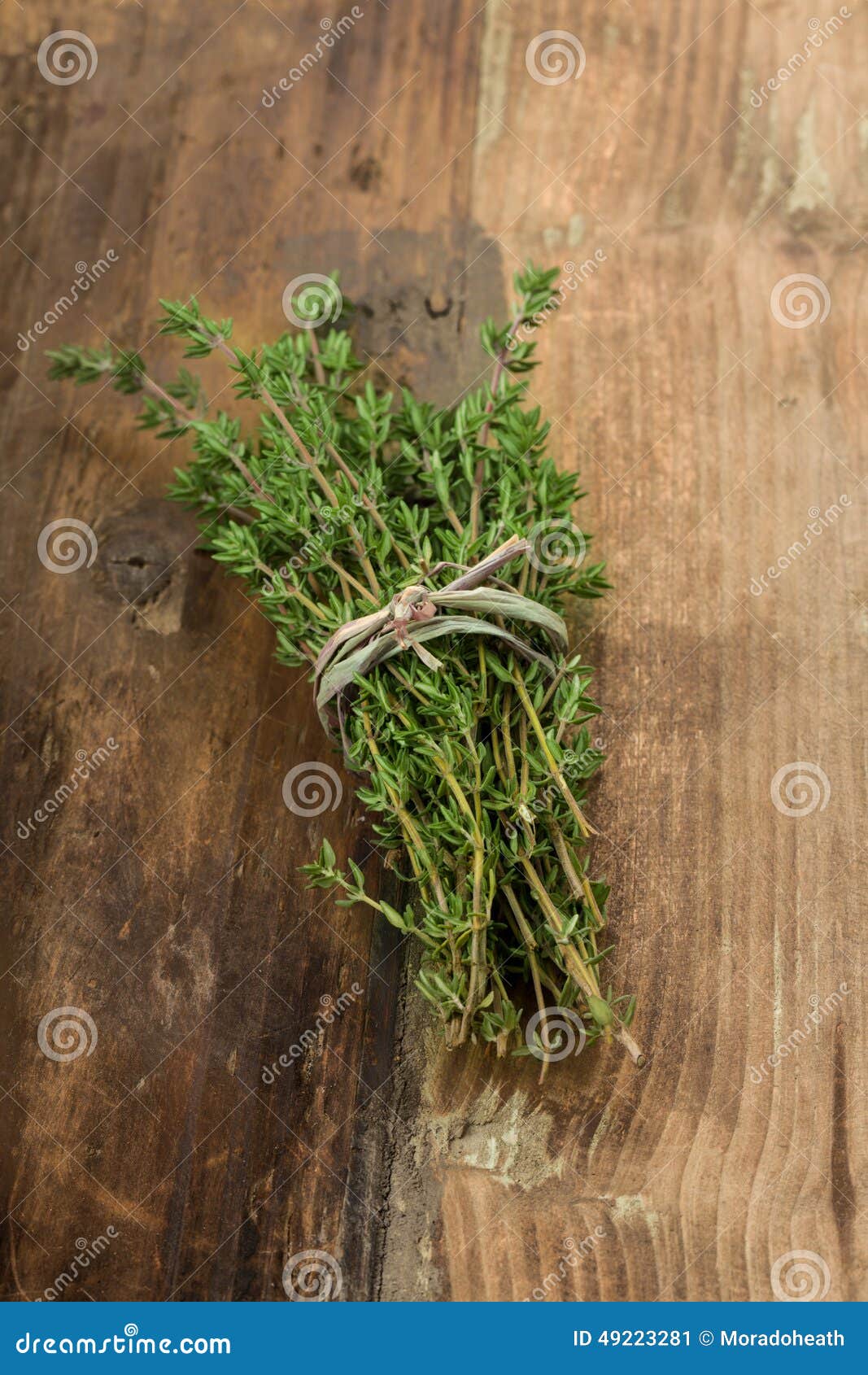 Thyme stock image. Image of ingredients, closeup, herbs - 49223281