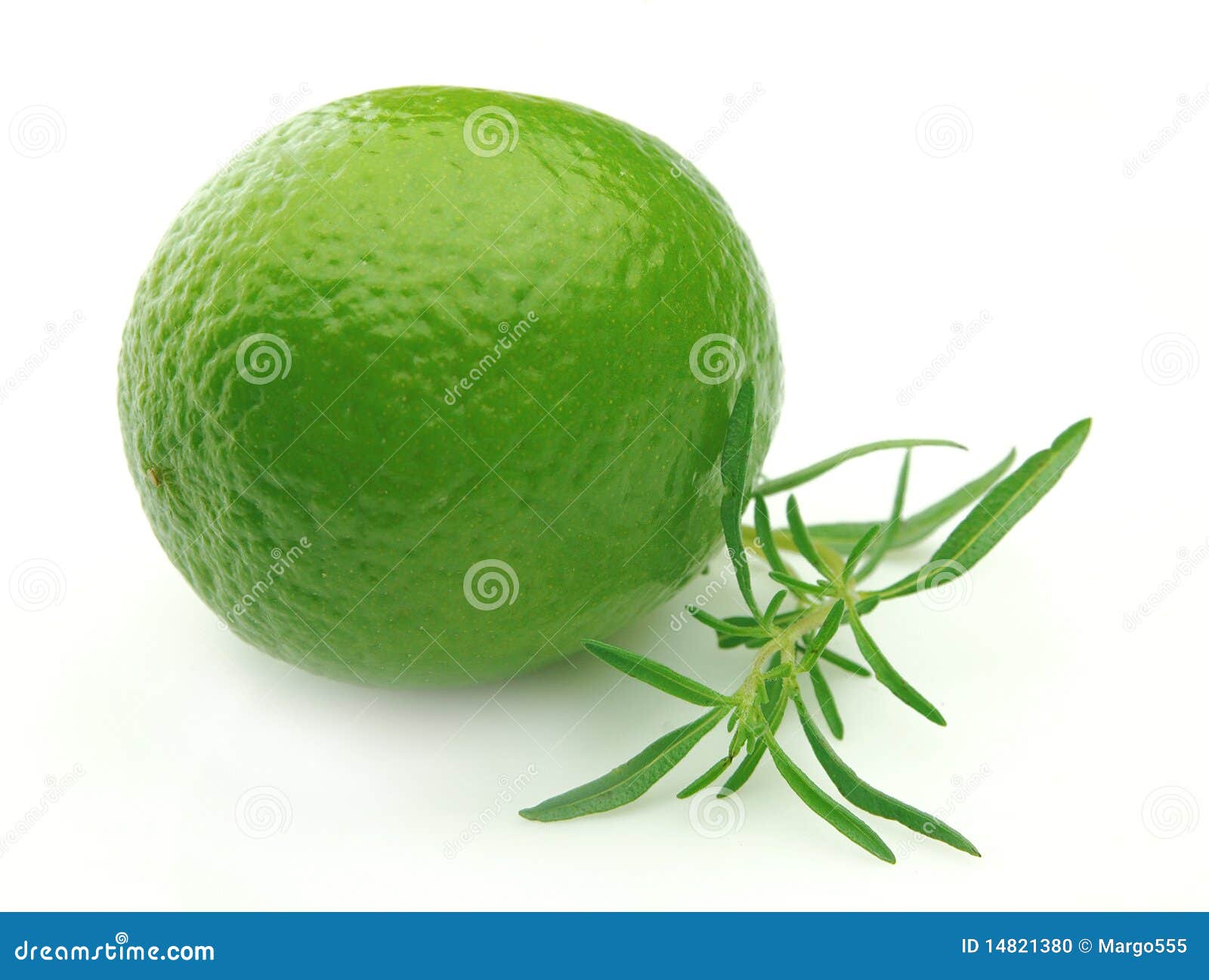 Thyme and laim.lemon stock photo. Image of spanish, white - 14821380