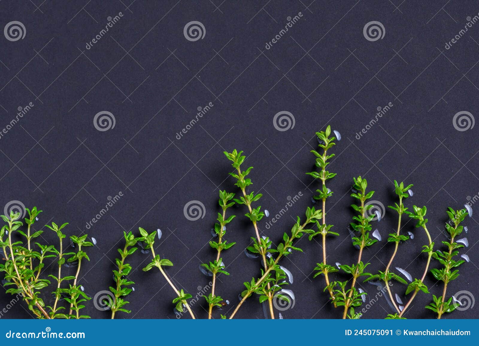 Thyme Leaves on Black Table Background, Herbs Stock Image - Image of ...