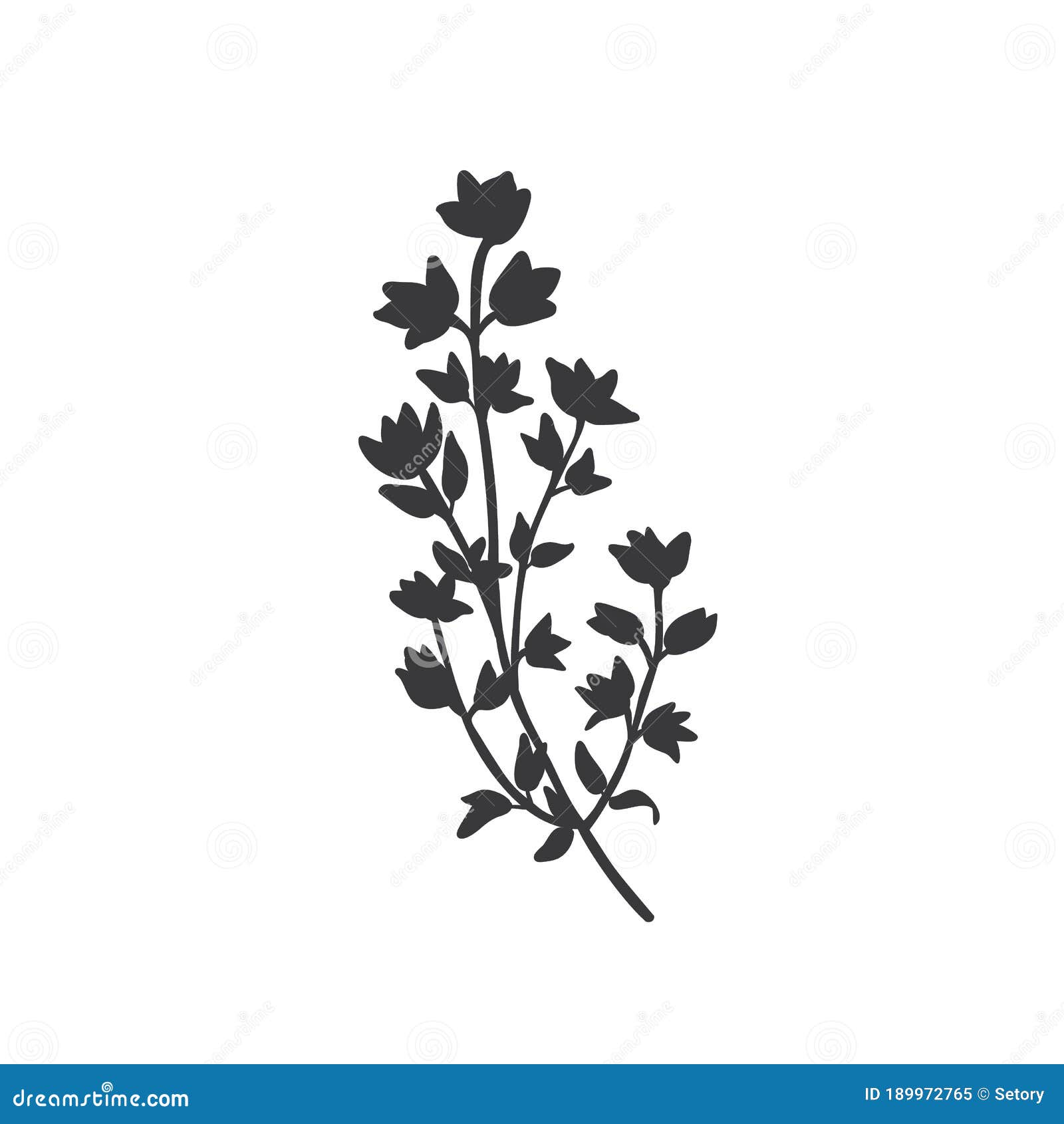 Thyme silhouette icon. stock vector. Illustration of retro - 189972765