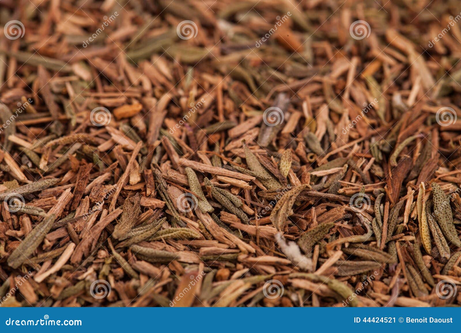 Thyme Texture stock image. Image of macro, food, herb - 44424521