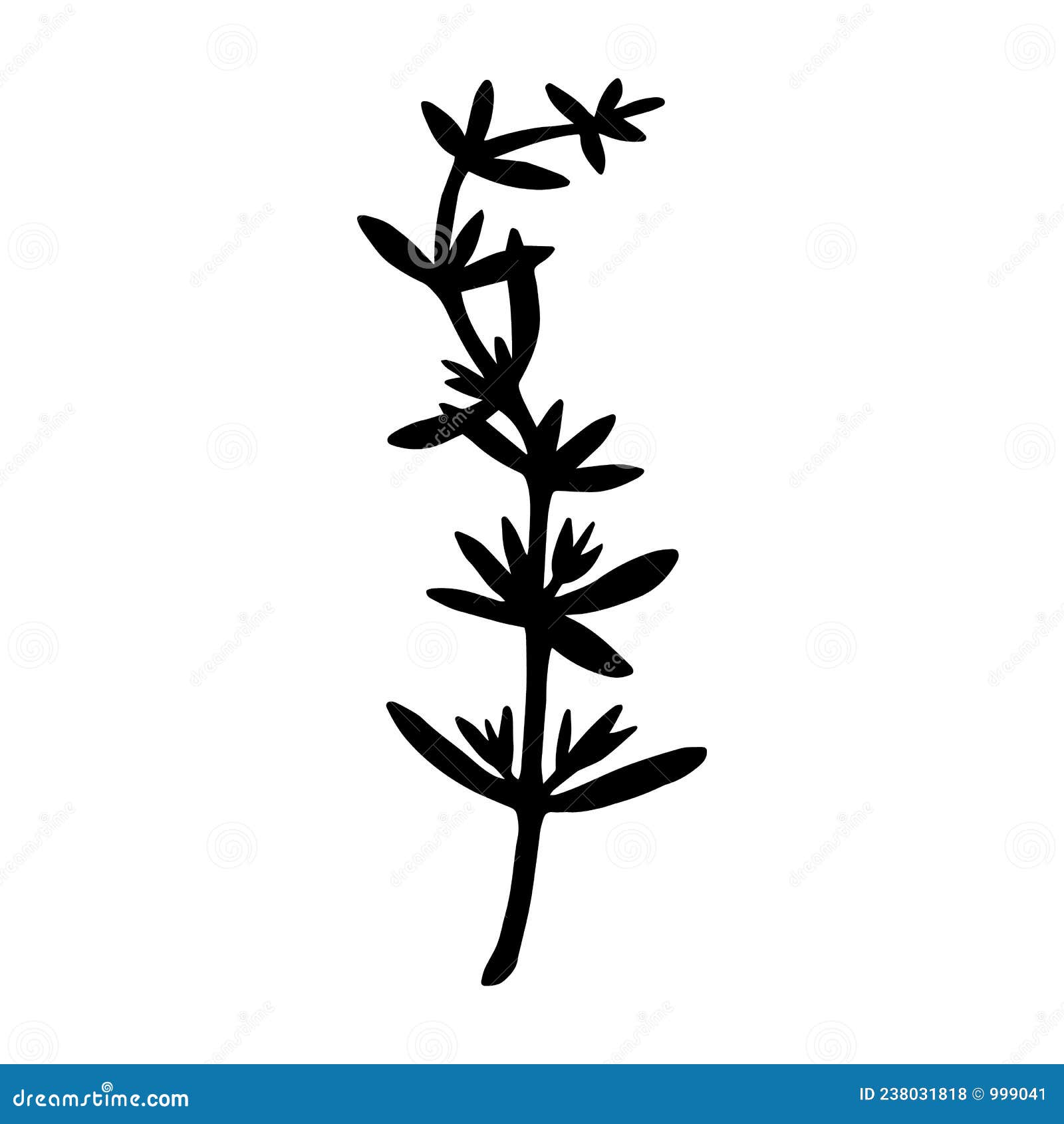 Isolate Thyme Stock Illustrations – 28 Isolate Thyme Stock ...
