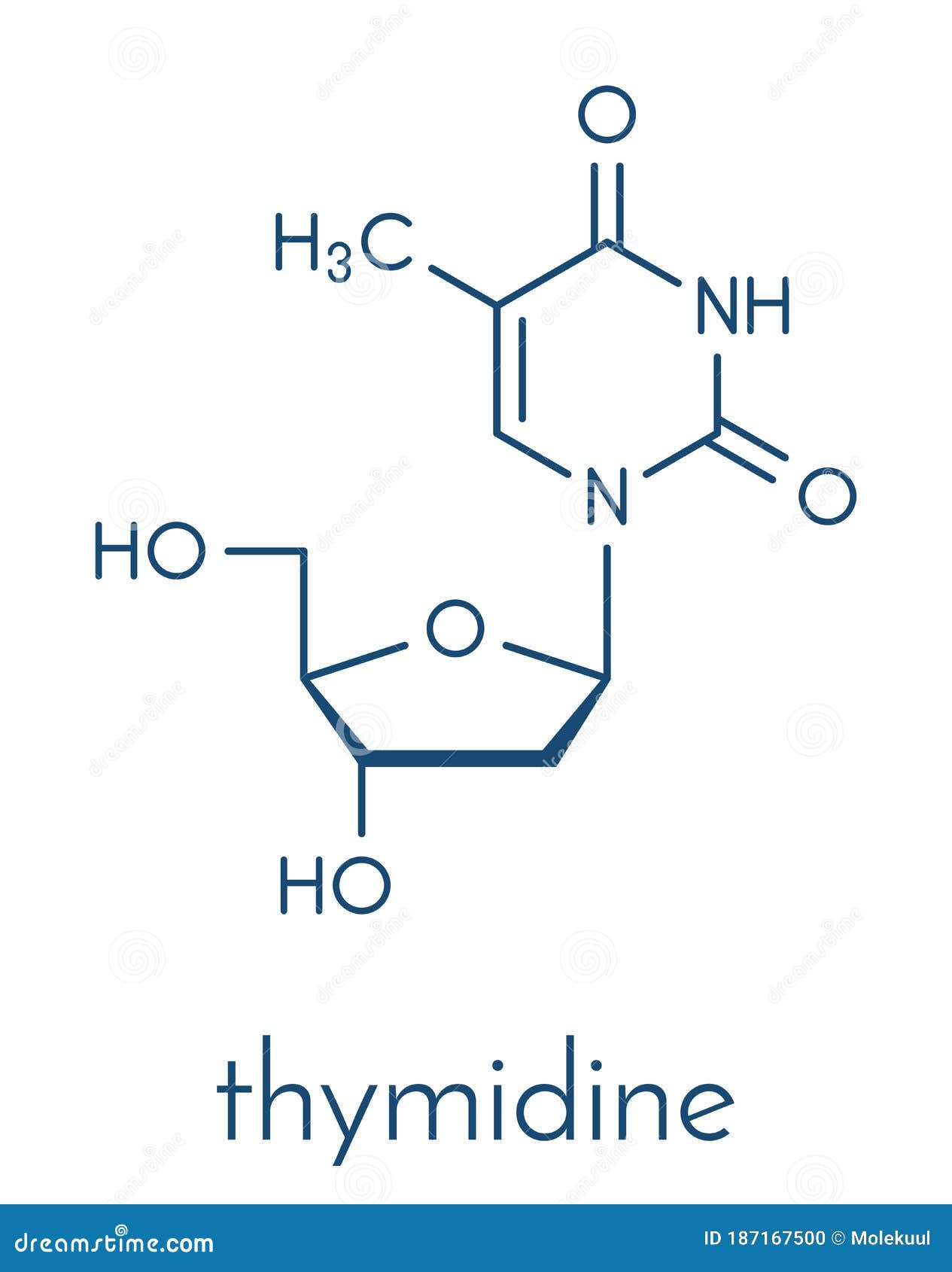 Thymidine Deoxythymidine-nucleoside-molecule. Dna - Bouwsteen ...