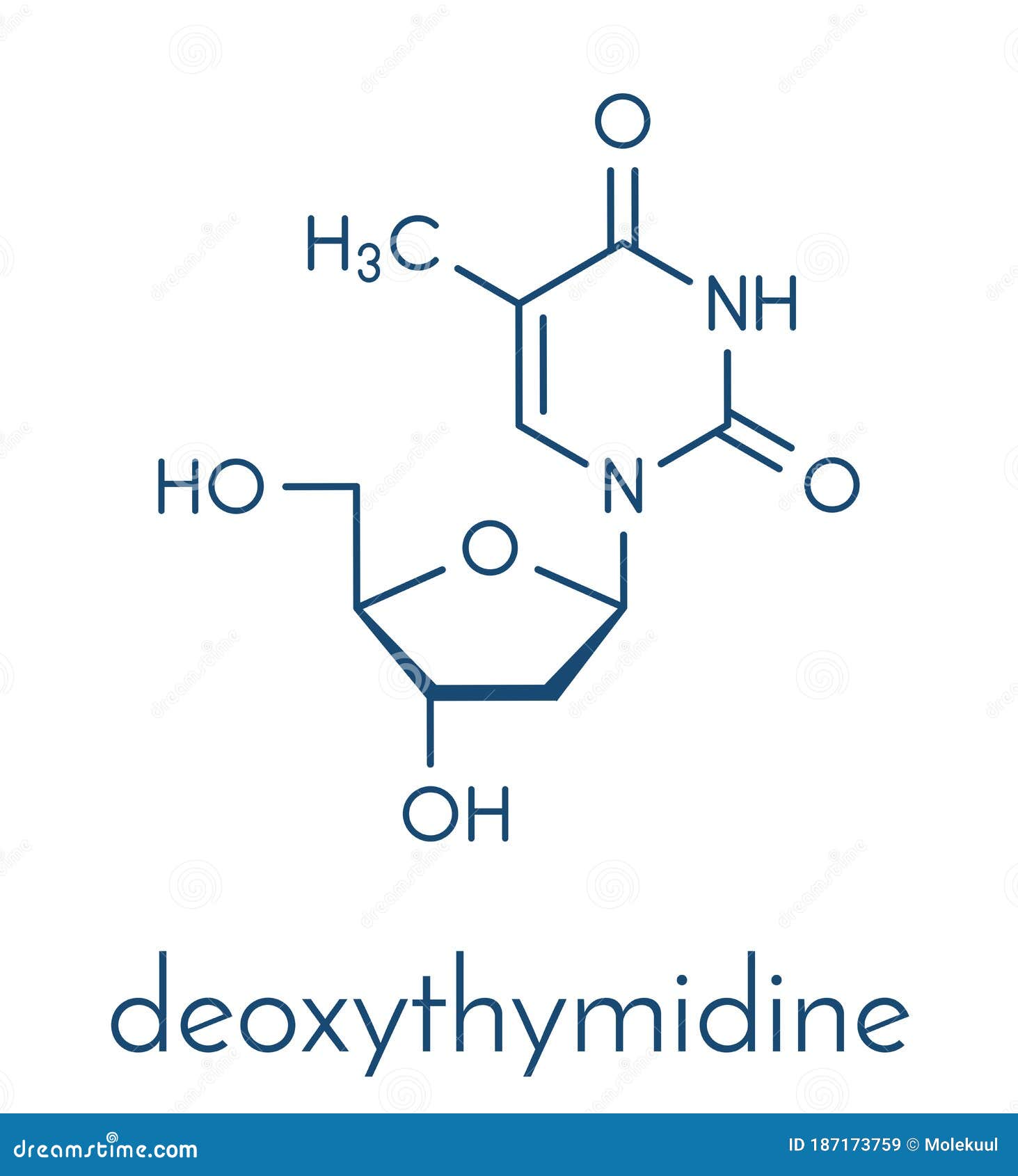 Thymidine Deoxythymidine Nucleoside Molecule. DNA Building Block ...