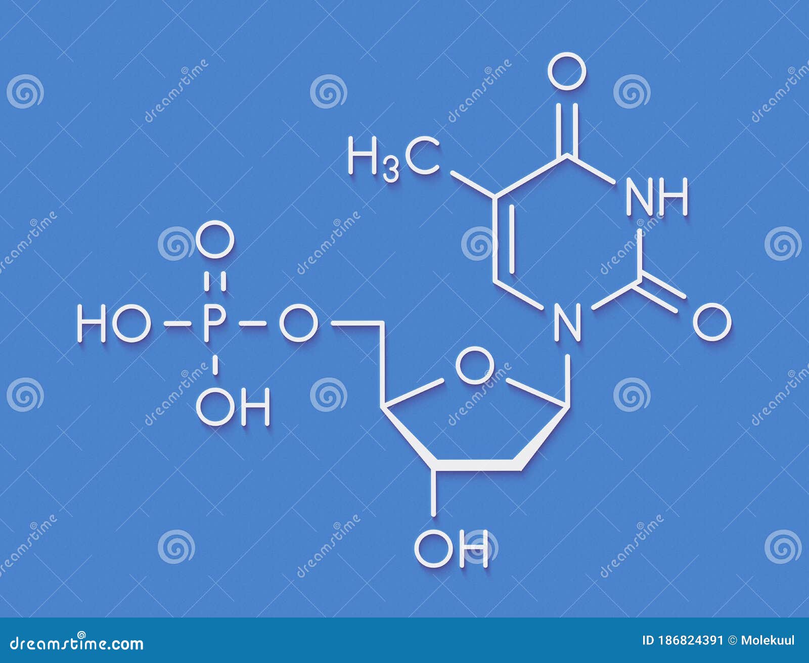 Thymidine Monophosphate Tmp Thymidylate Nucleotide Molecule Dna