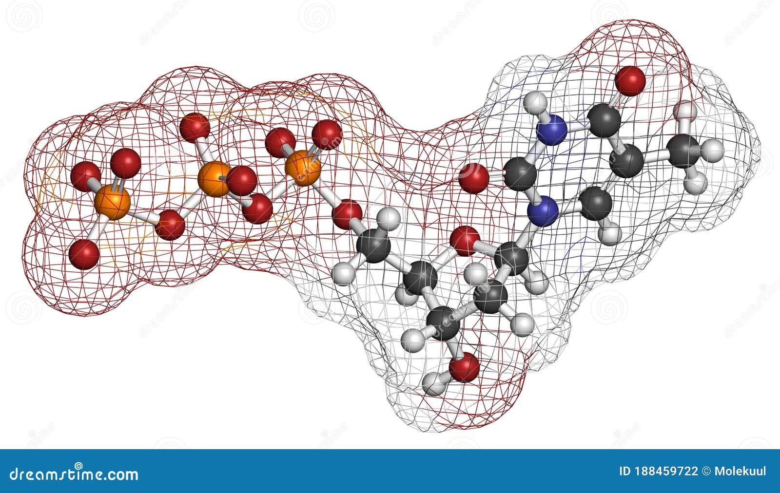 Thymidine Triphosphate (TTP) Nucleotide Molecule. DNA Building Block ...
