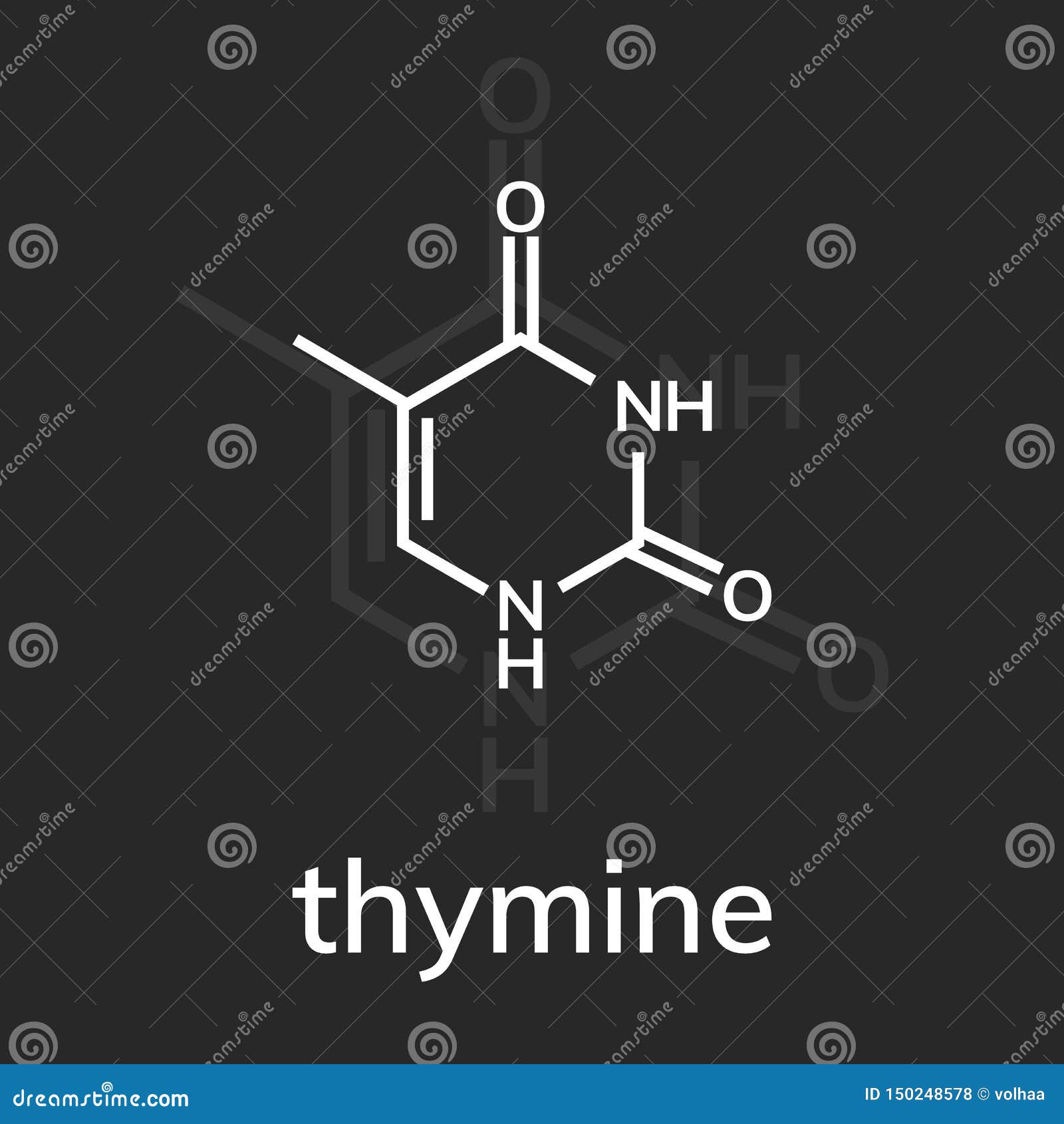Thymine chemical formula stock vector. Illustration of vector - 150248578