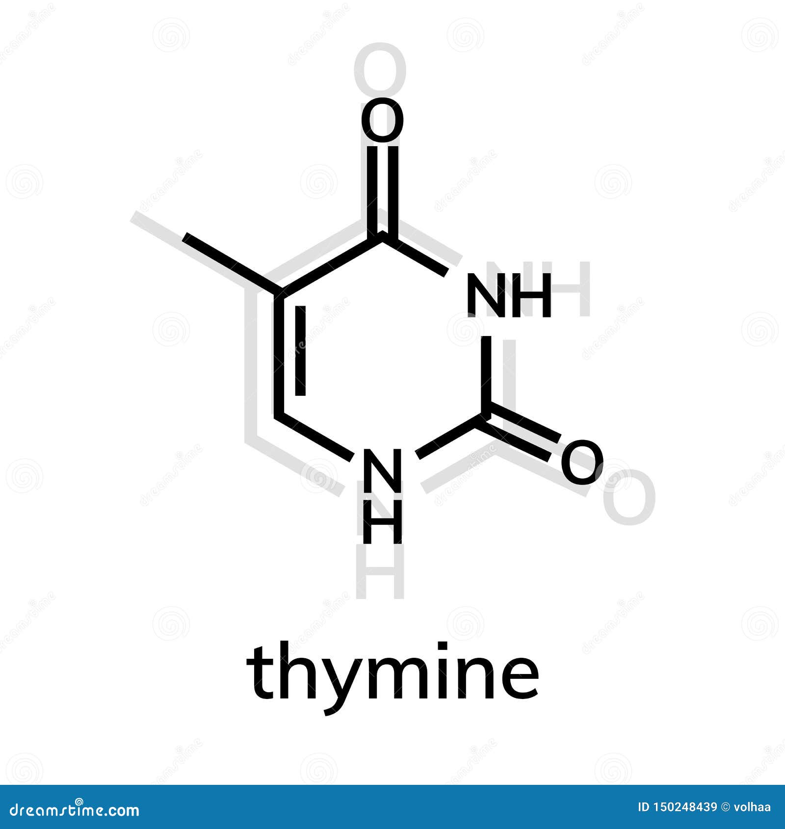 Thymine chemical formula stock vector. Illustration of biology - 150248439