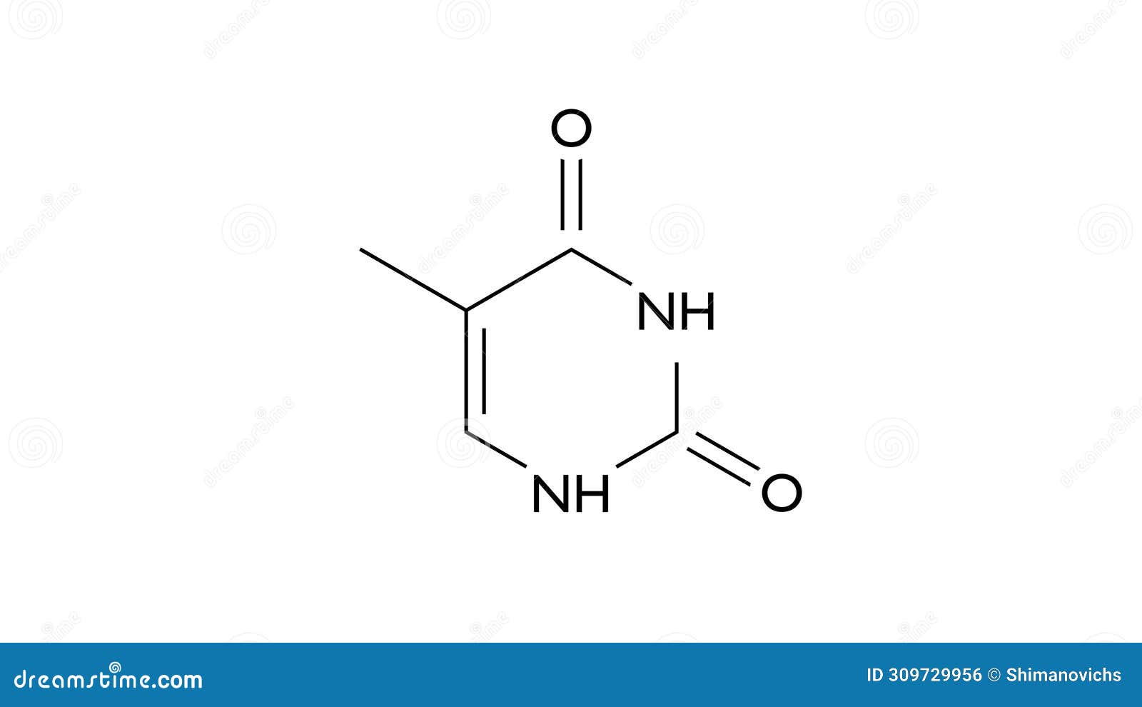 Thymine Molecule, Structural Chemical Formula, Ball-and-stick Model ...