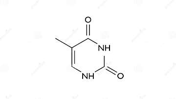 Thymine Molecule, Structural Chemical Formula, Ball-and-stick Model ...