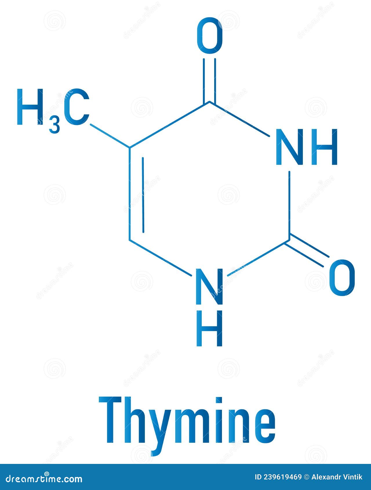 Thymine Nucleobase Molecule. Present In DNA. Skeletal Formula. Cartoon ...
