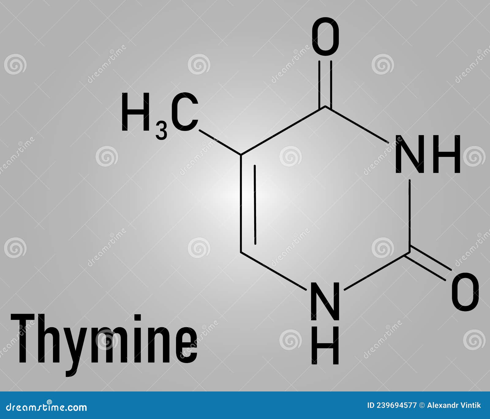 Thymine Nucleobase Molecule. Present In DNA. Skeletal Formula. Cartoon ...