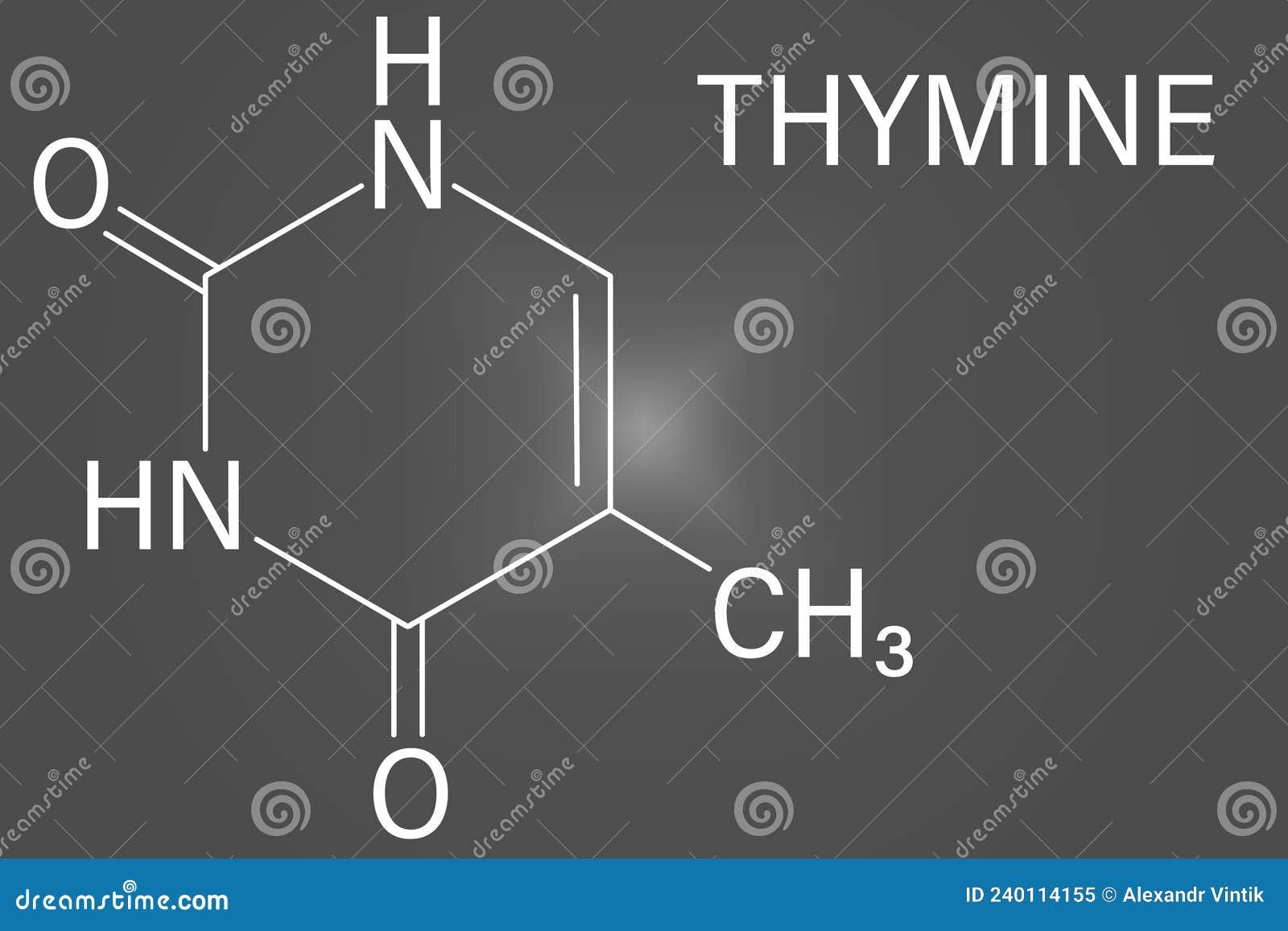 Thymine Nucleobase Molecule. Present in DNA. Skeletal Formula Stock ...