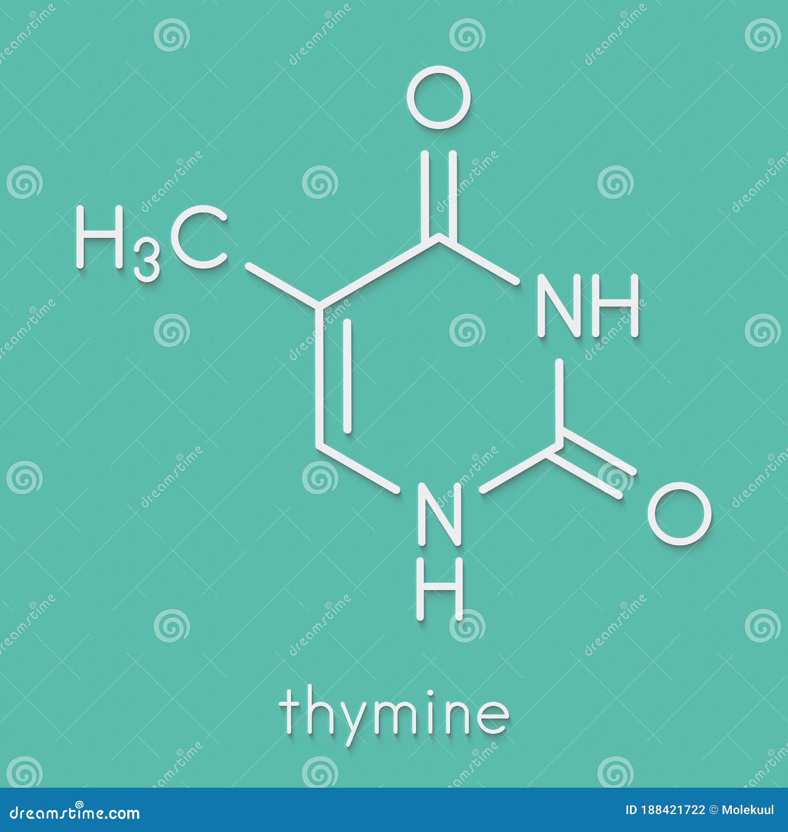 Thymine Molecule