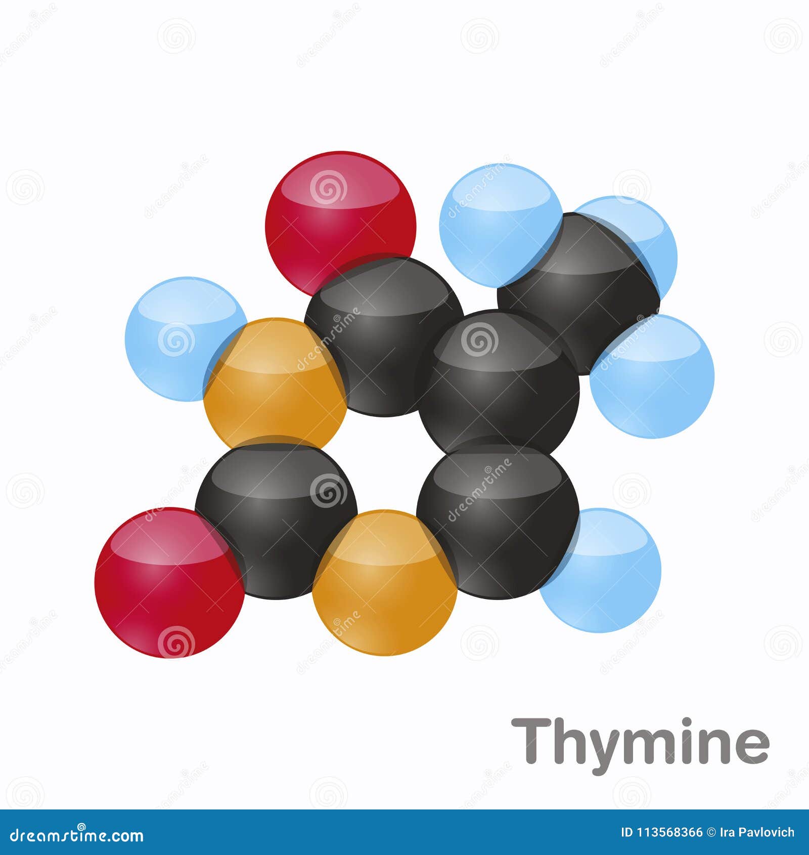 Thymine, T, Thy, Nucleobase, Chemical Formula And Skeletal Structure ...