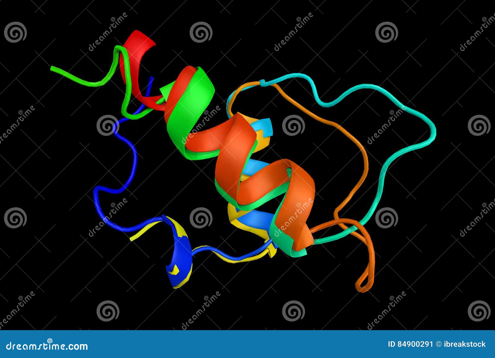 Thymopoietin, a Protein Involved in the Induction of CD90 in the Stock ...