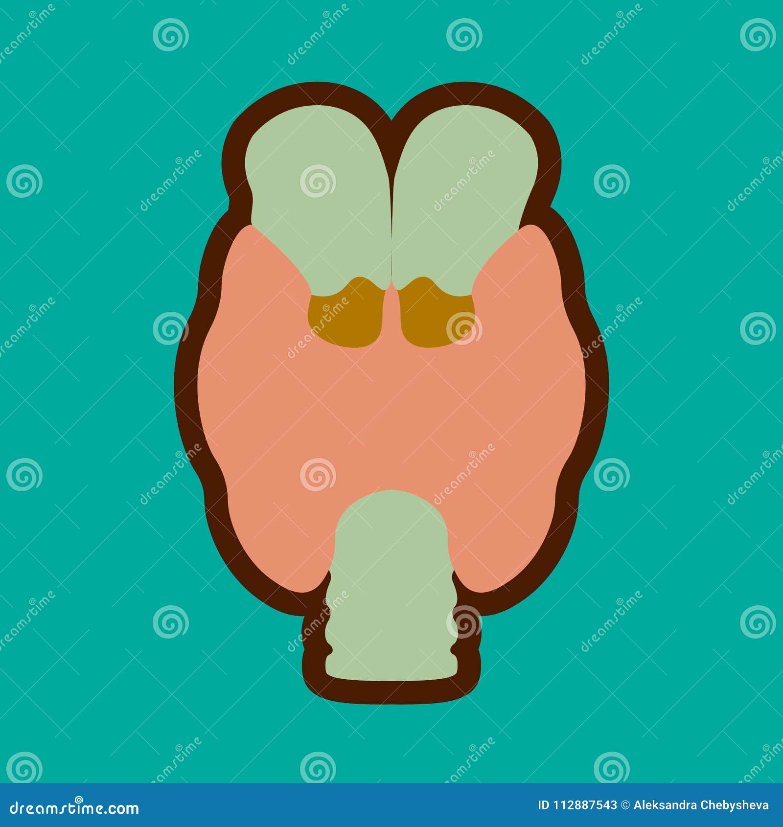 Thyroid. Endocrine Gland Icon . Illness Of The Endocrine System Stock ...