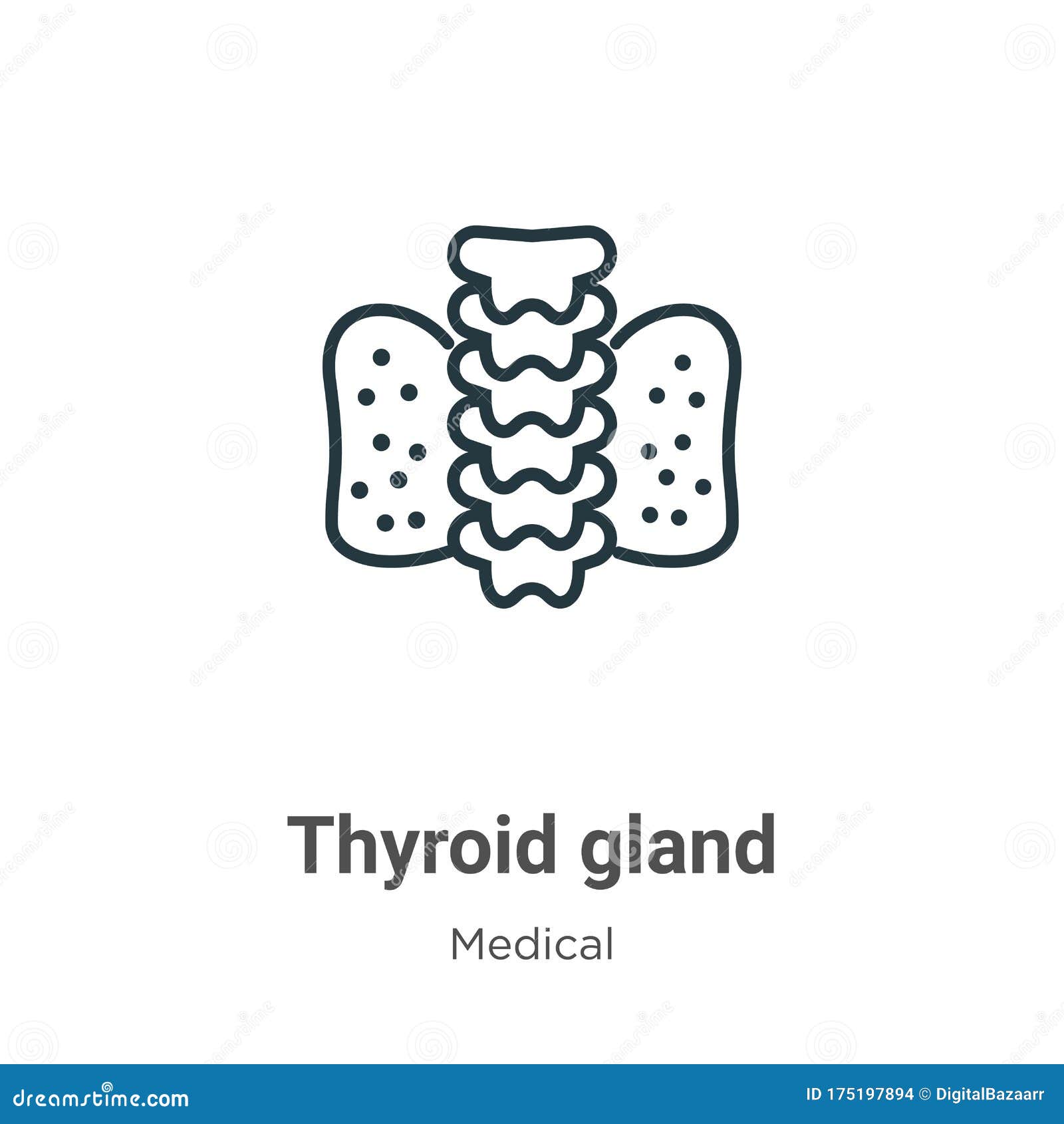 Thyroid Gland Outline Vector Icon. Thin Line Black Thyroid Gland Icon ...