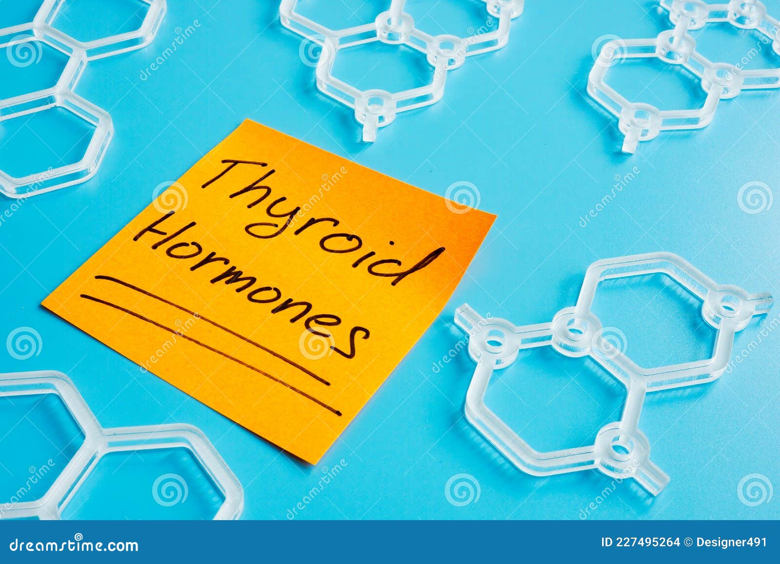 Thyroid Hormones Diagram Cartoon Vector | CartoonDealer.com #236979367