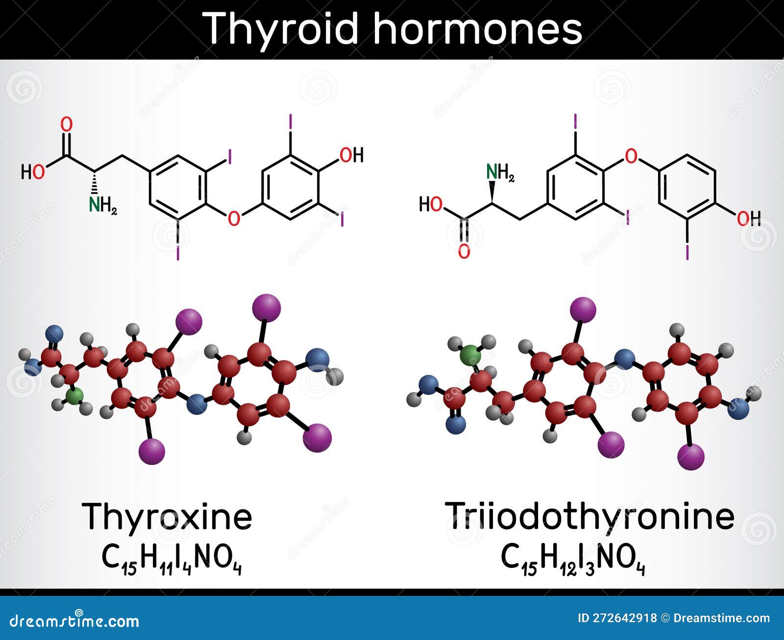 Triiodothyronine Molecule Molecular Structures Thyroid Hormone 3d