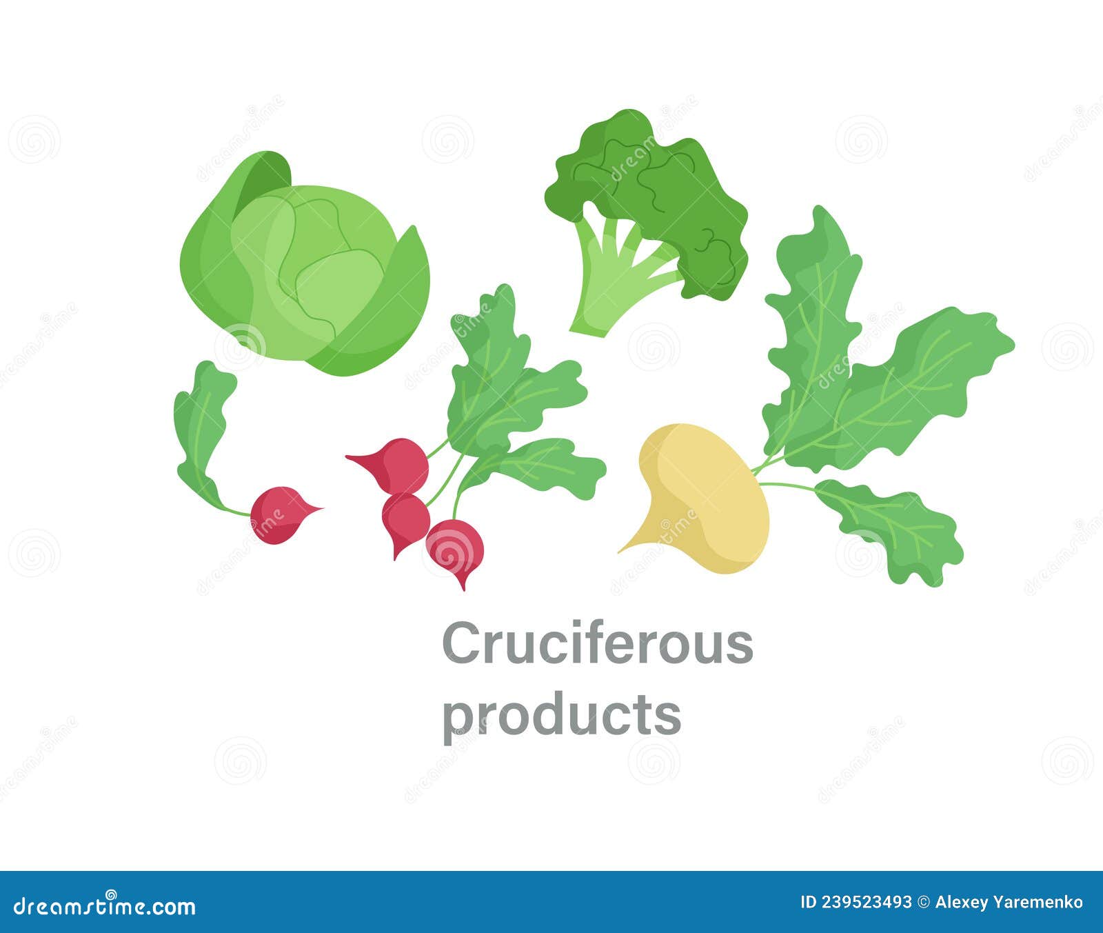 Thyroid Nutrition Infographic Element Cartoon Vector | CartoonDealer ... Thyroid Nutrition Infographic Element Cartoon Vector | CartoonDealer ...