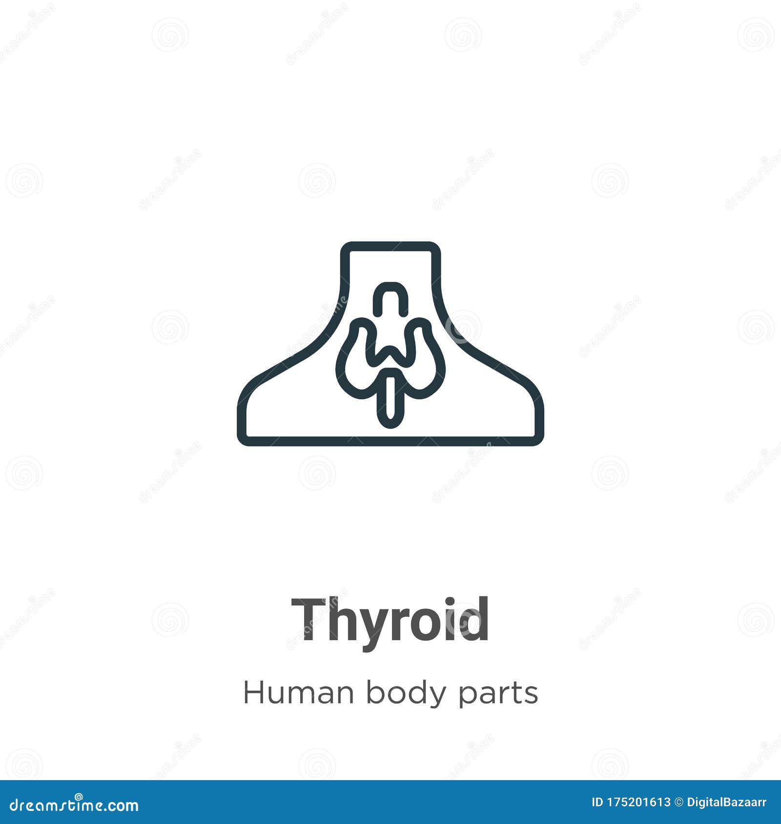 Thyroid Outline Vector Icon. Thin Line Black Thyroid Icon, Flat Vector ...