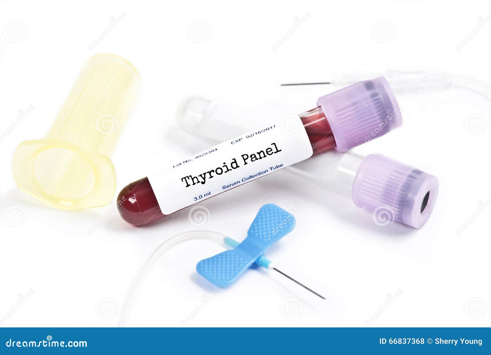 Sample Thyroid Panel Results