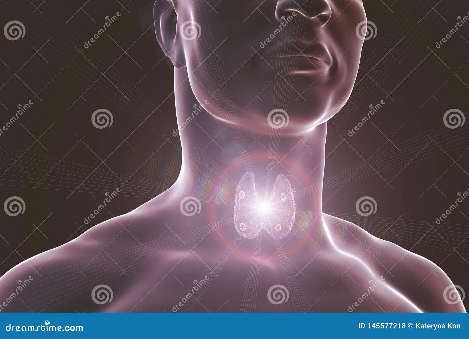 Thyroid and Parathyroid Glands Stock Illustration - Illustration of ...