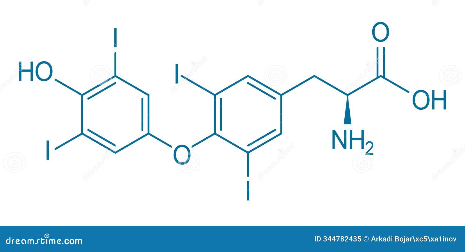 Thyroxine Chemical Formula, Atomic Structure of Molecule Stock Vector ...