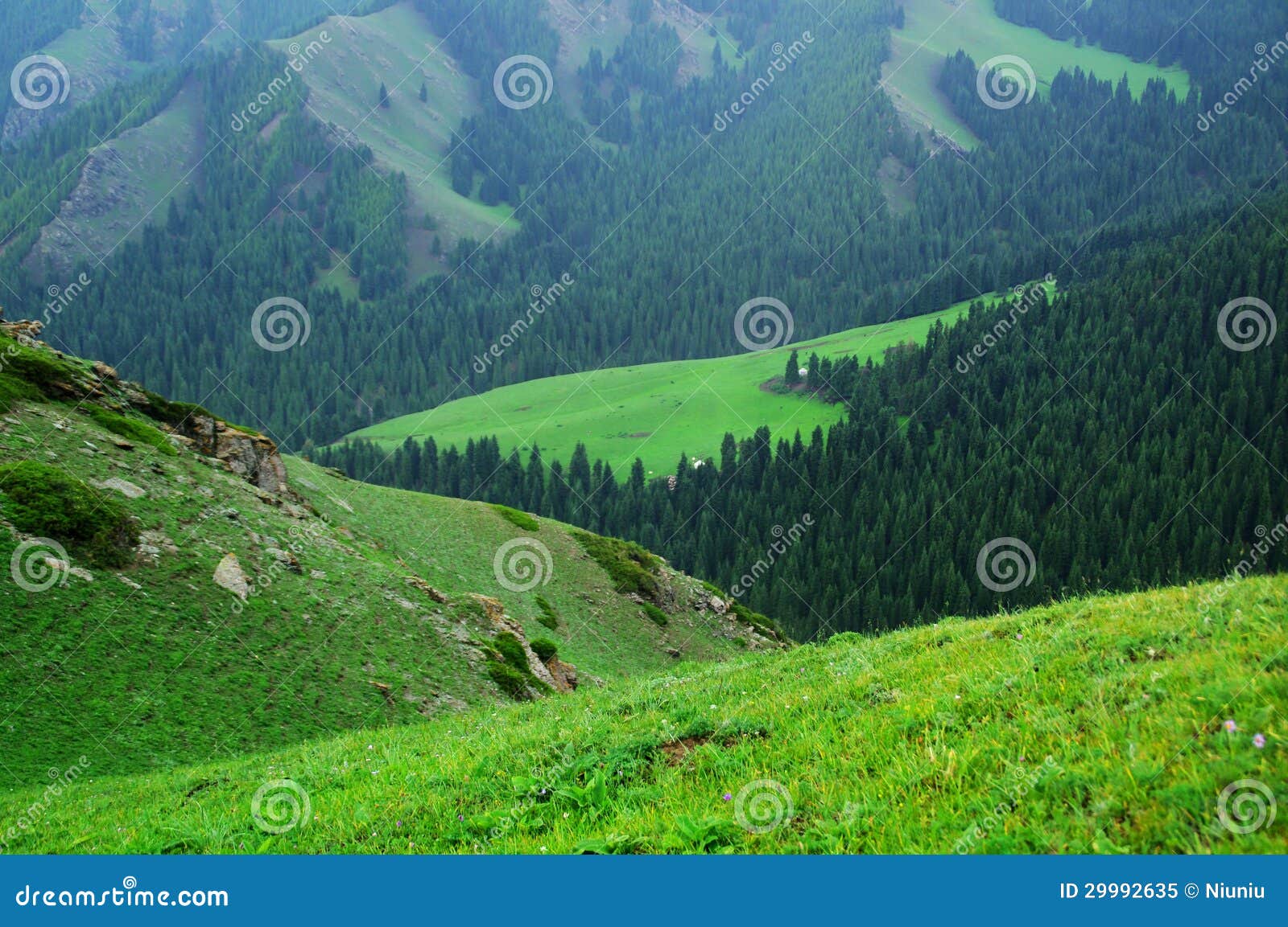 Tianshan mountain scenery stock image. Image of alpine - 29992635