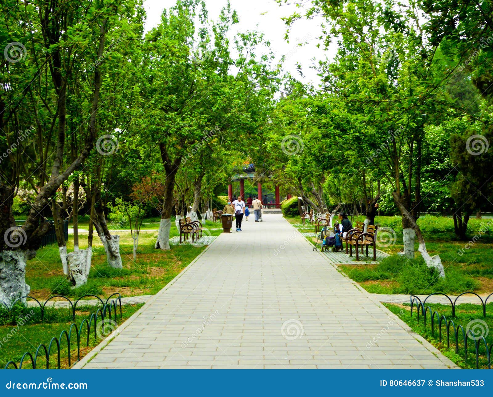 Tiantan park path editorial photography. Image of passageway - 80646637