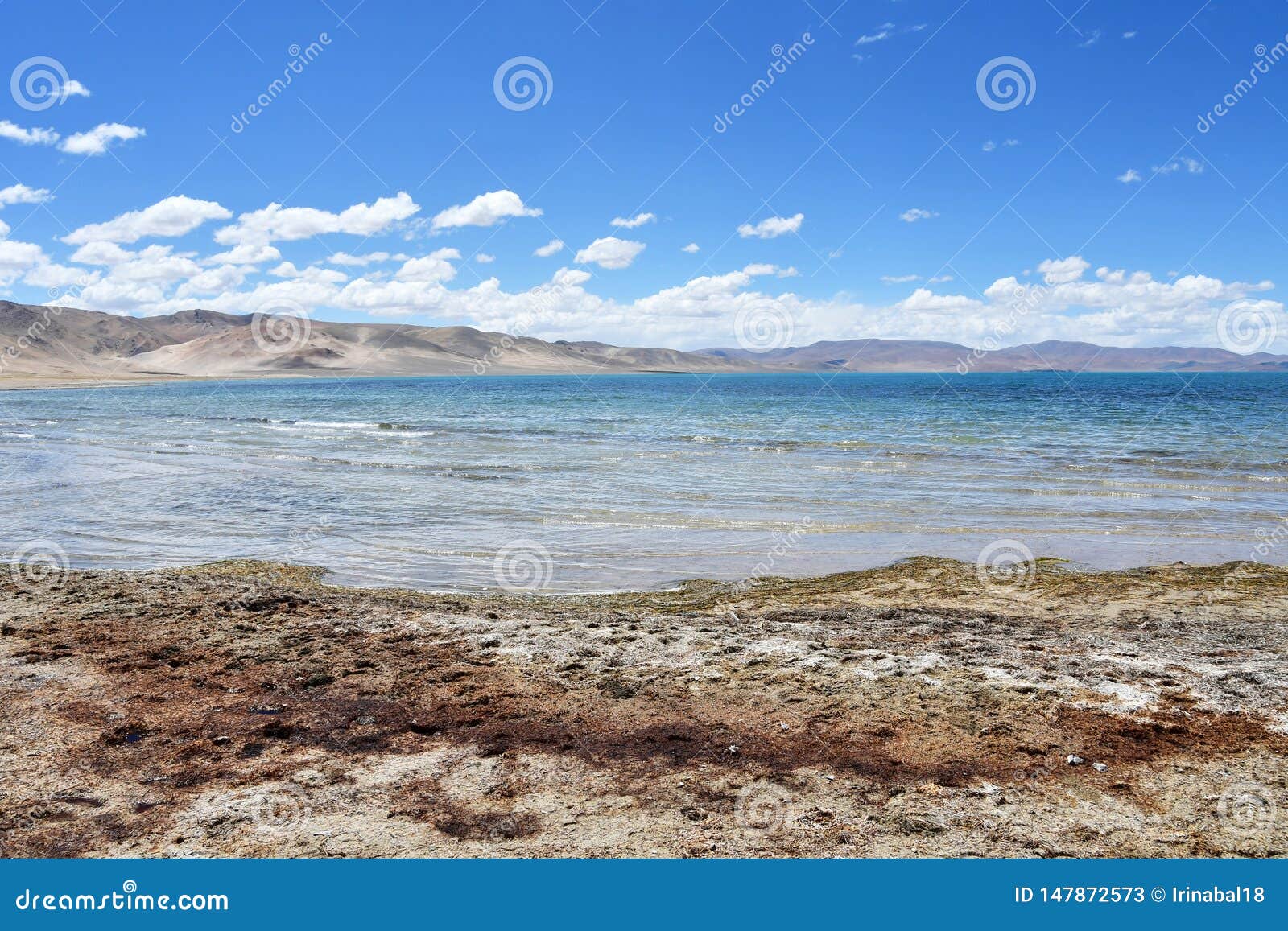 Tibet, Gomang Lake in Sunny Day Stock Image - Image of blue, shore ...