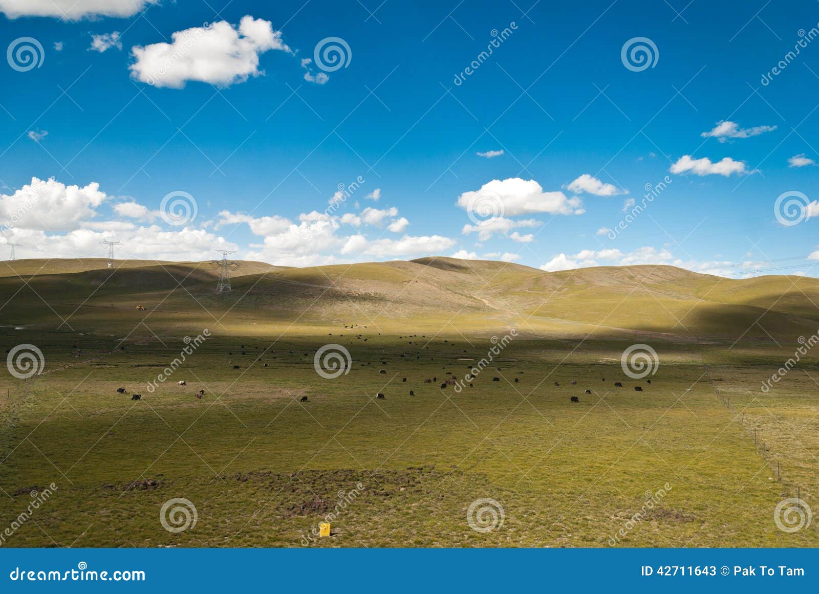 Tibet Landscape stock image. Image of chinese, bright - 42711643