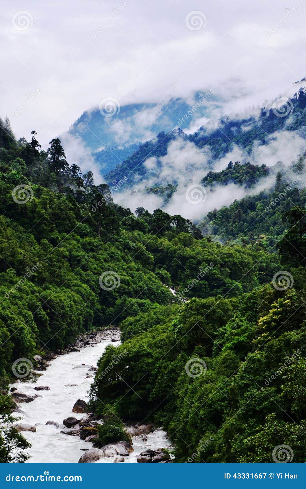 Tibet Medog County Chinese Scenery Stock Image - Image of chinese, tree ...