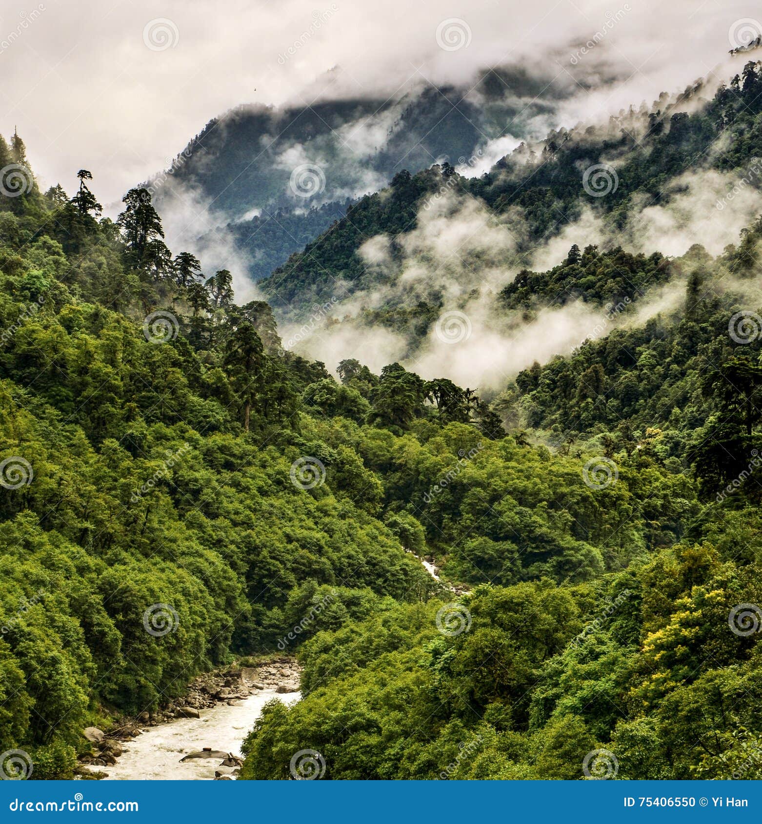 Medog Scenic Stock Photos - Free & Royalty-Free Stock Photos from ...