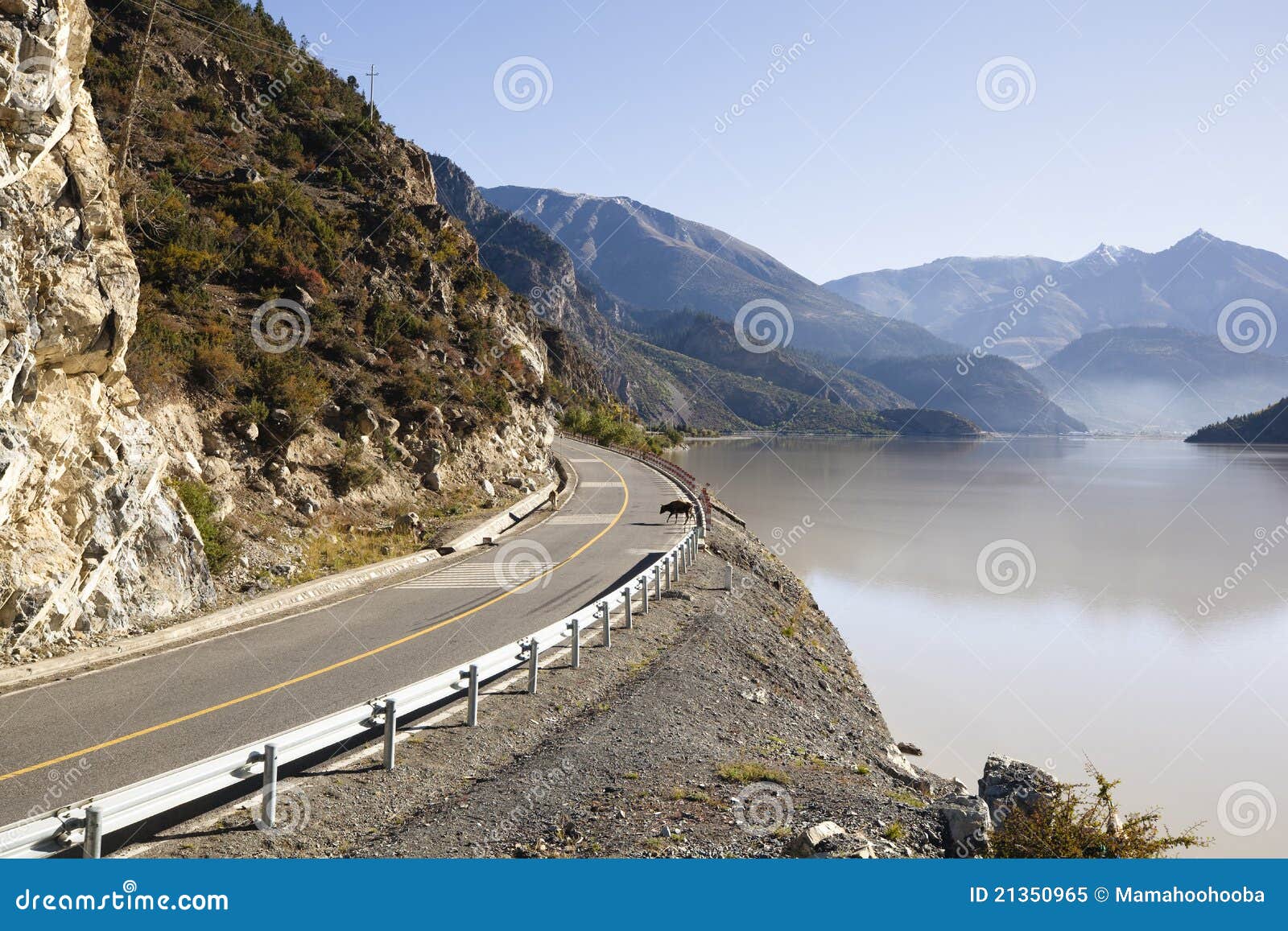 Tibet: Road Along Ranwu Lake Stock Image - Image of empty, nature: 21350965