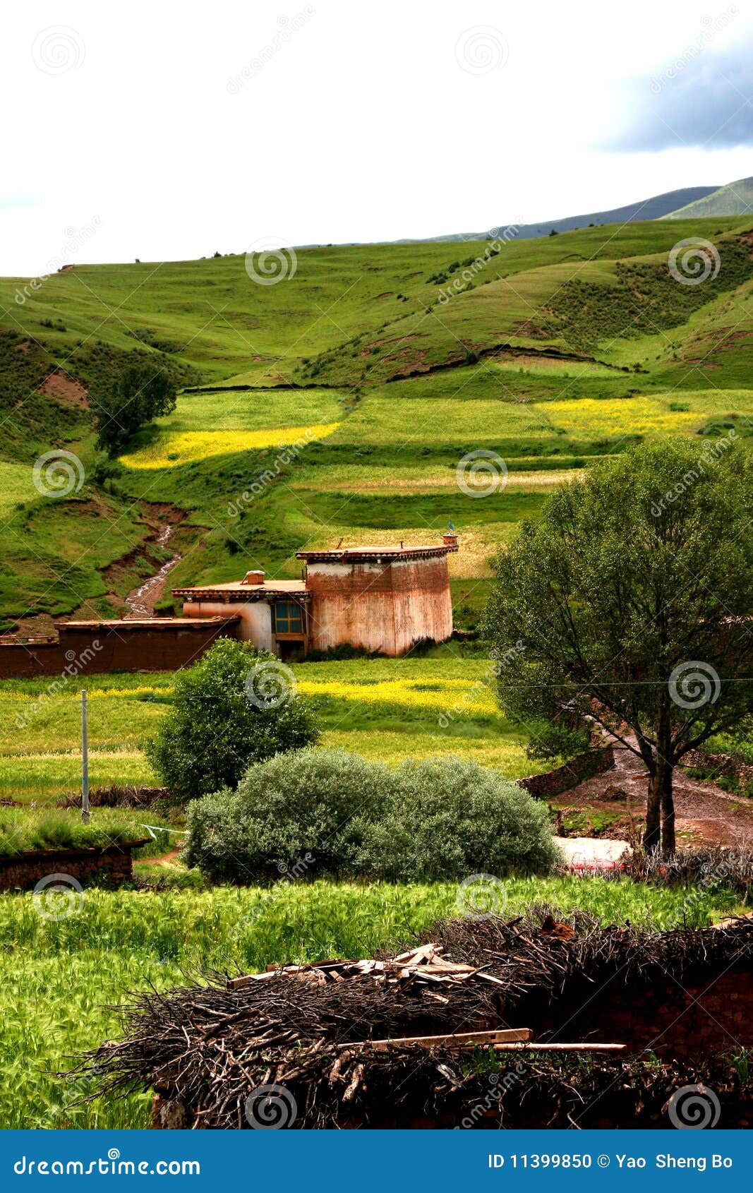 Tibet s rural areas stock photo. Image of chaiduo, full - 11399850