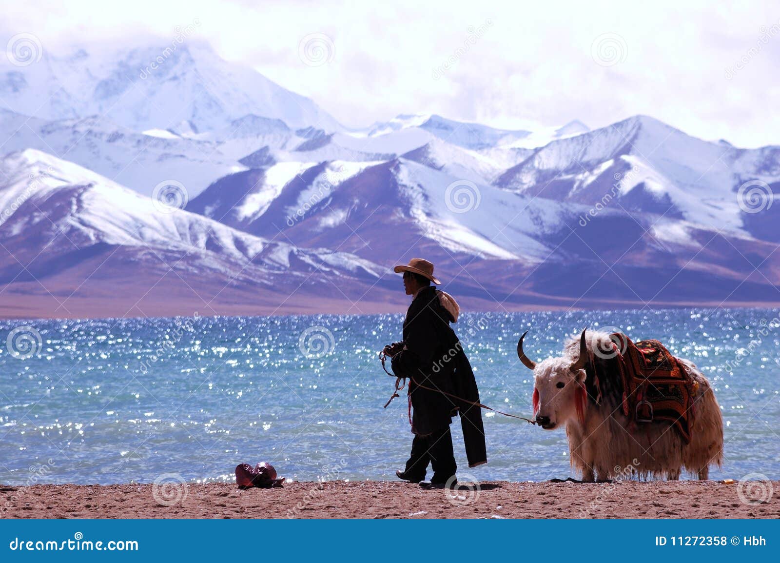 Tibet s snow mountains editorial stock photo. Image of graze - 11272358