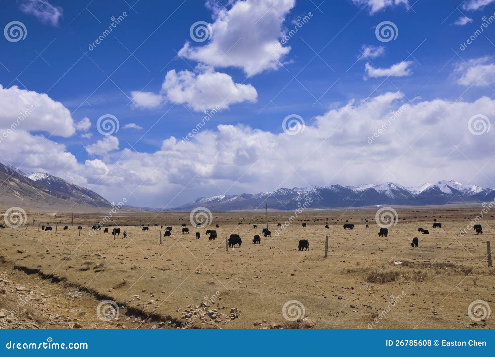 Tibet scenery stock photo. Image of mountain, tourism - 26785608