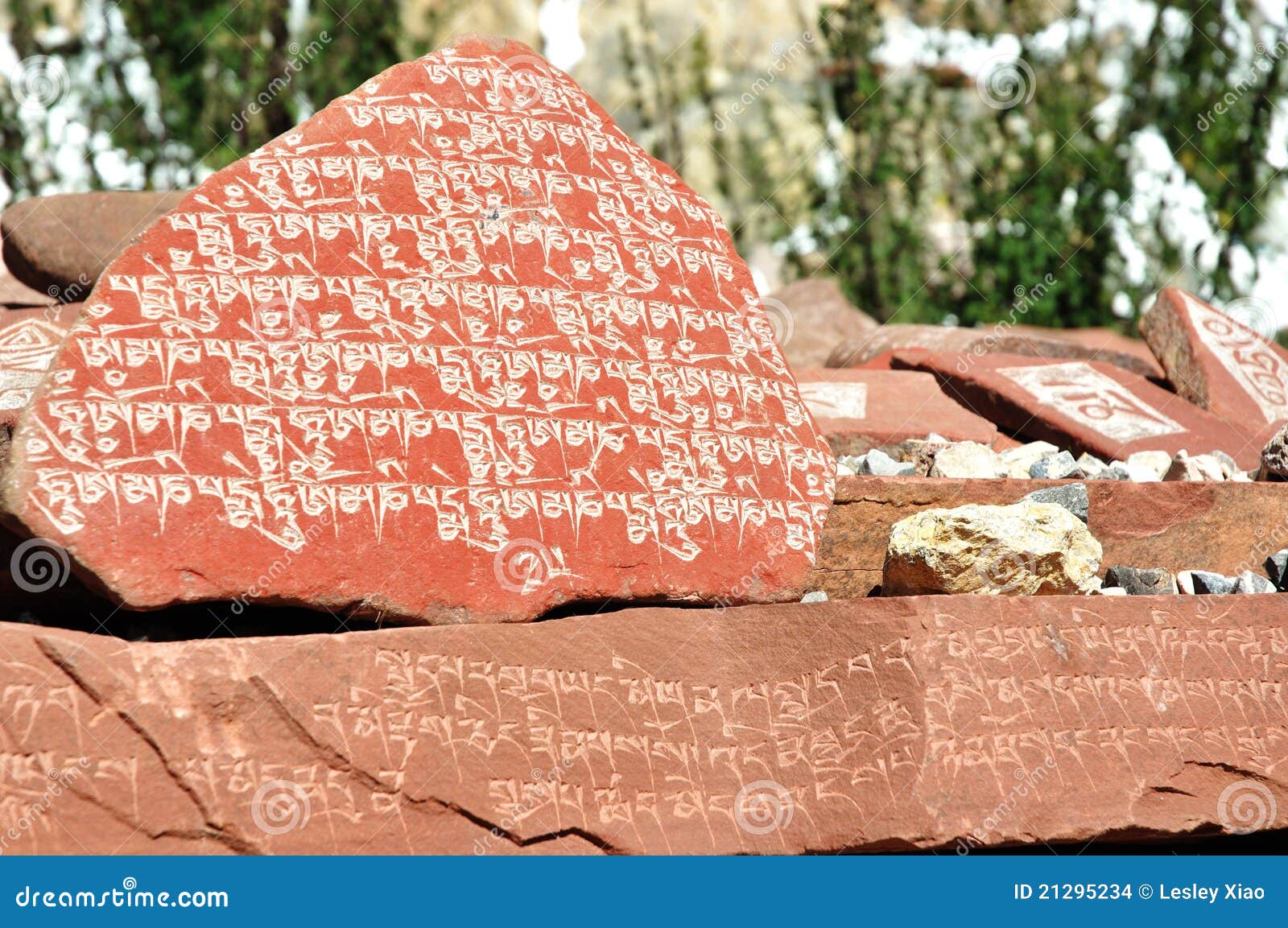 Tibet scripture stones stock photo. Image of tibetan - 21295234
